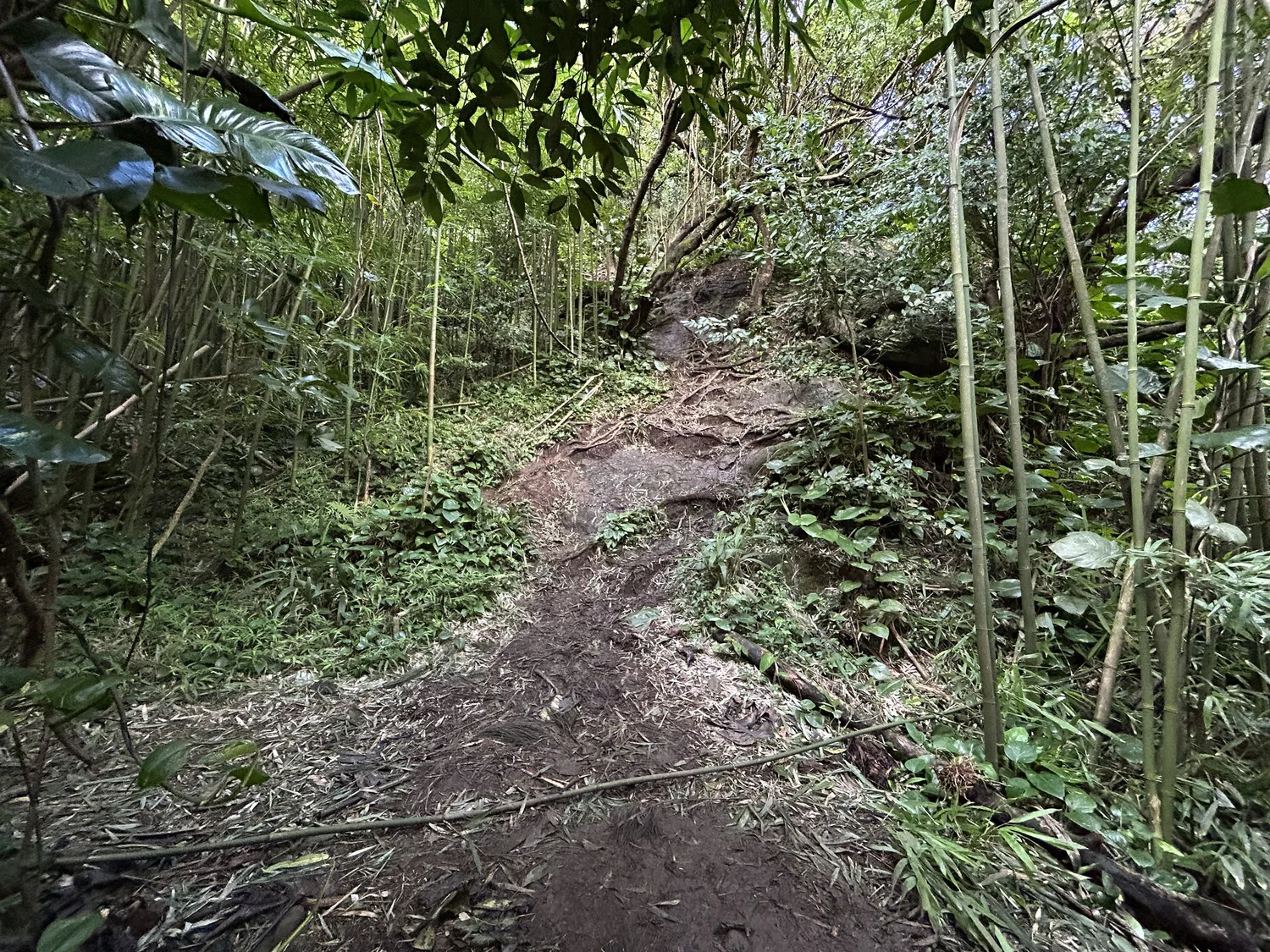 Hiking the Pali Puka Trail on Oʻahu, Hawaiʻi — noahawaii