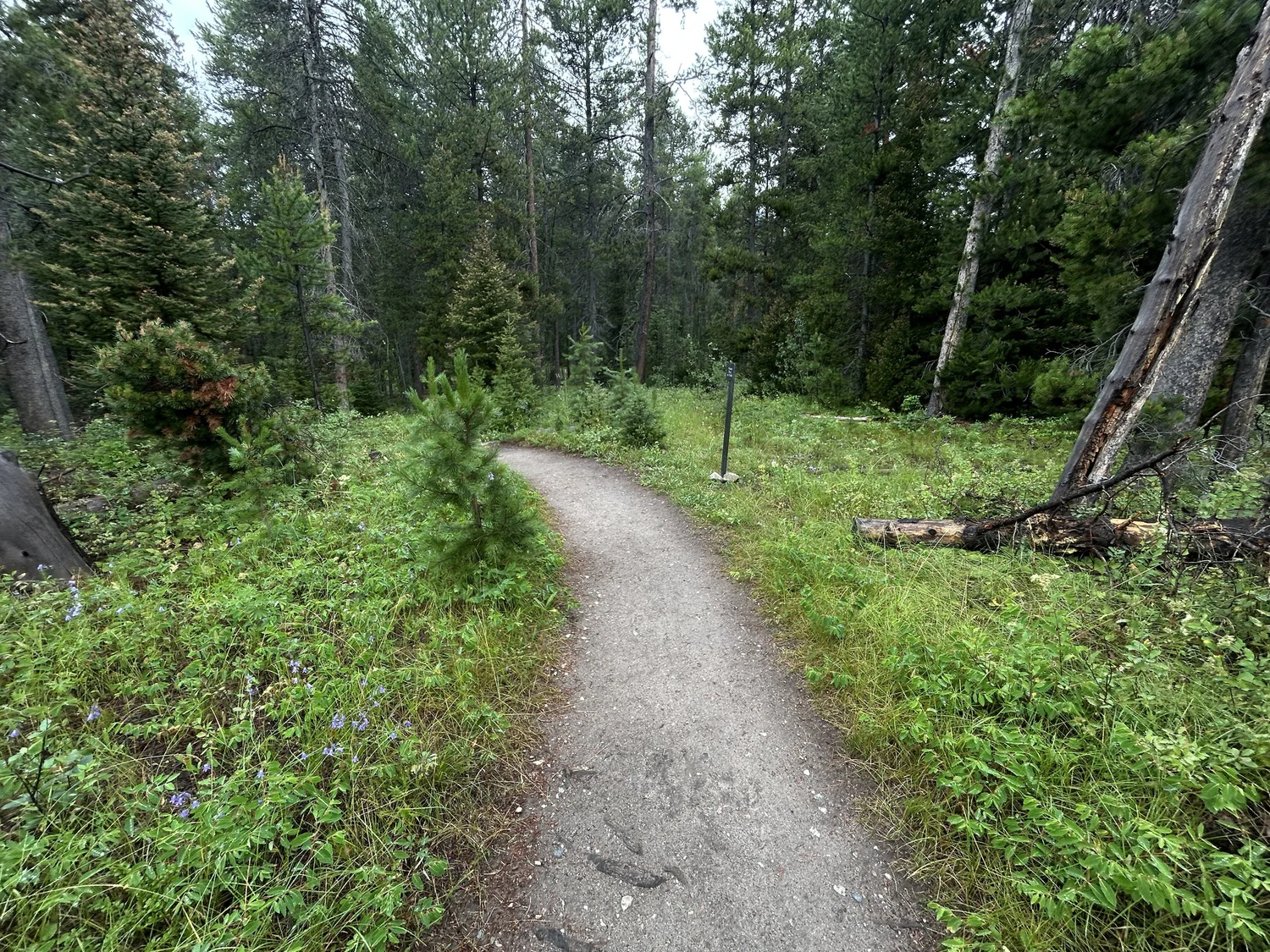 Hiking the Phelps Lake Loop Trail in Grand Teton National Park — noahawaii