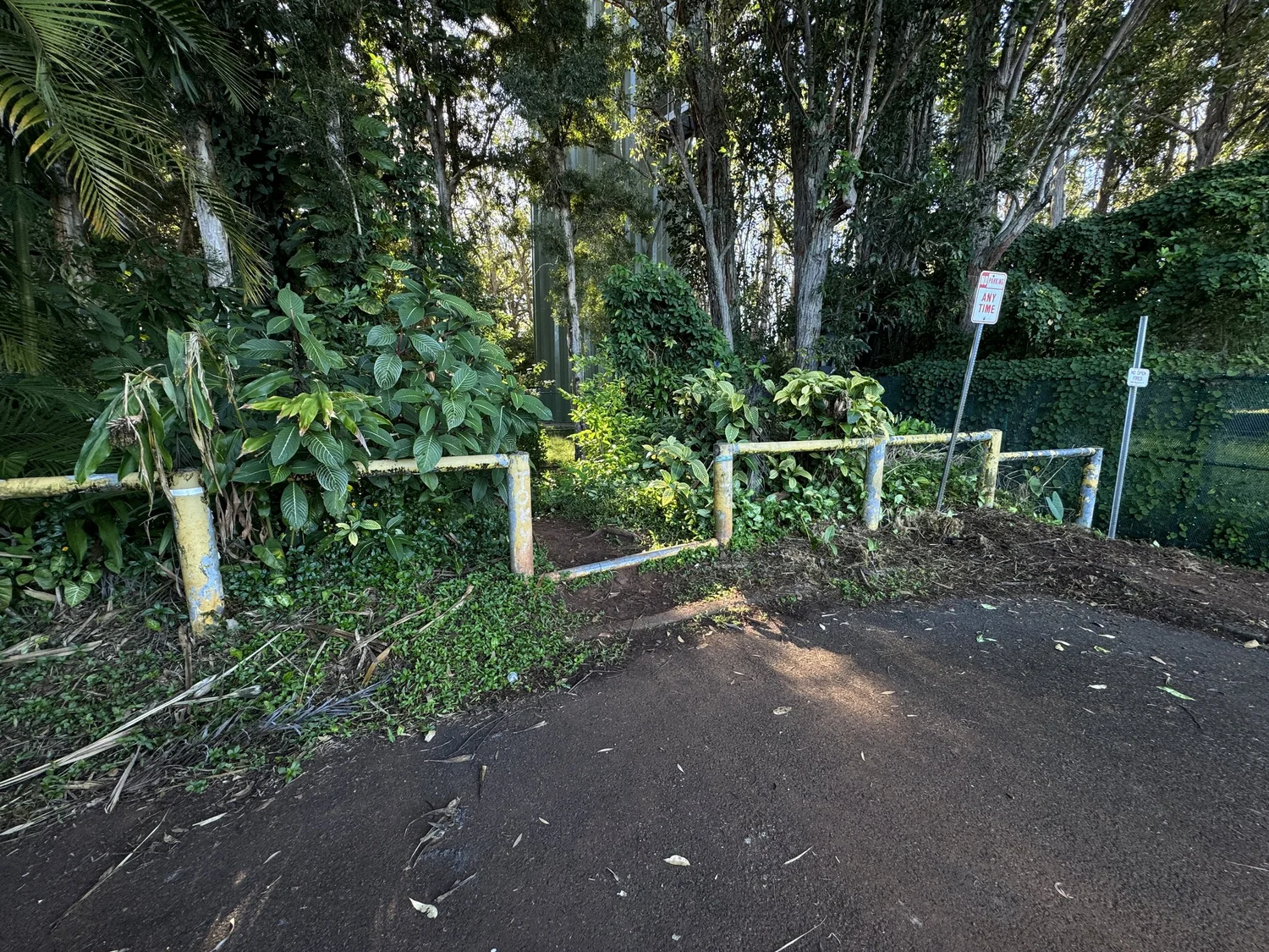 Hiking the Schofield-Waikāne Trail on Oʻahu — noahawaii