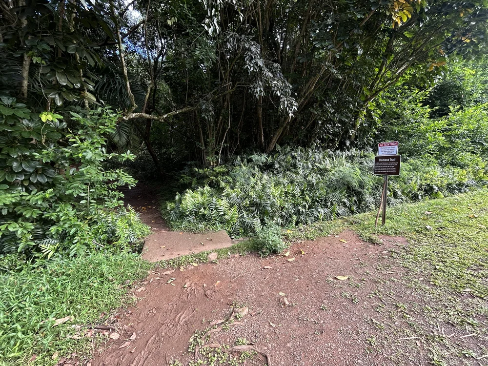 Hiking the Mt. Olomana Trail (Three Peaks) on Oʻahu, Hawaiʻi — noahawaii