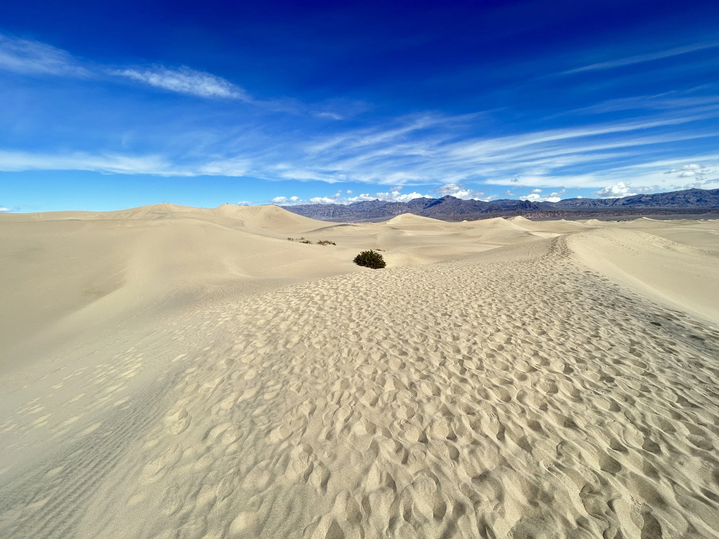 Hiking The Mesquite Flat Sand Dunes Trail The High Dune In Death