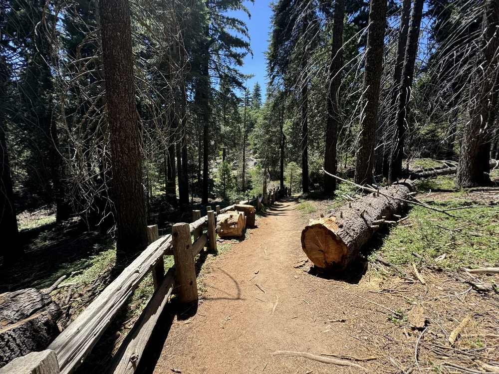 Hiking the Big Stump Loop Trail in Kings Canyon National Park — noahawaii