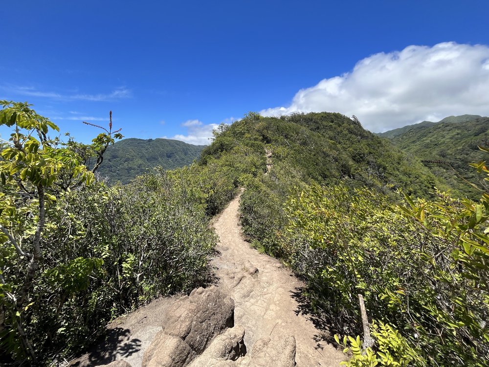 Hiking the Waʻahila Ridge Trail to Mt. Olympus (ʻAwaʻawaloa) on Oʻahu ...