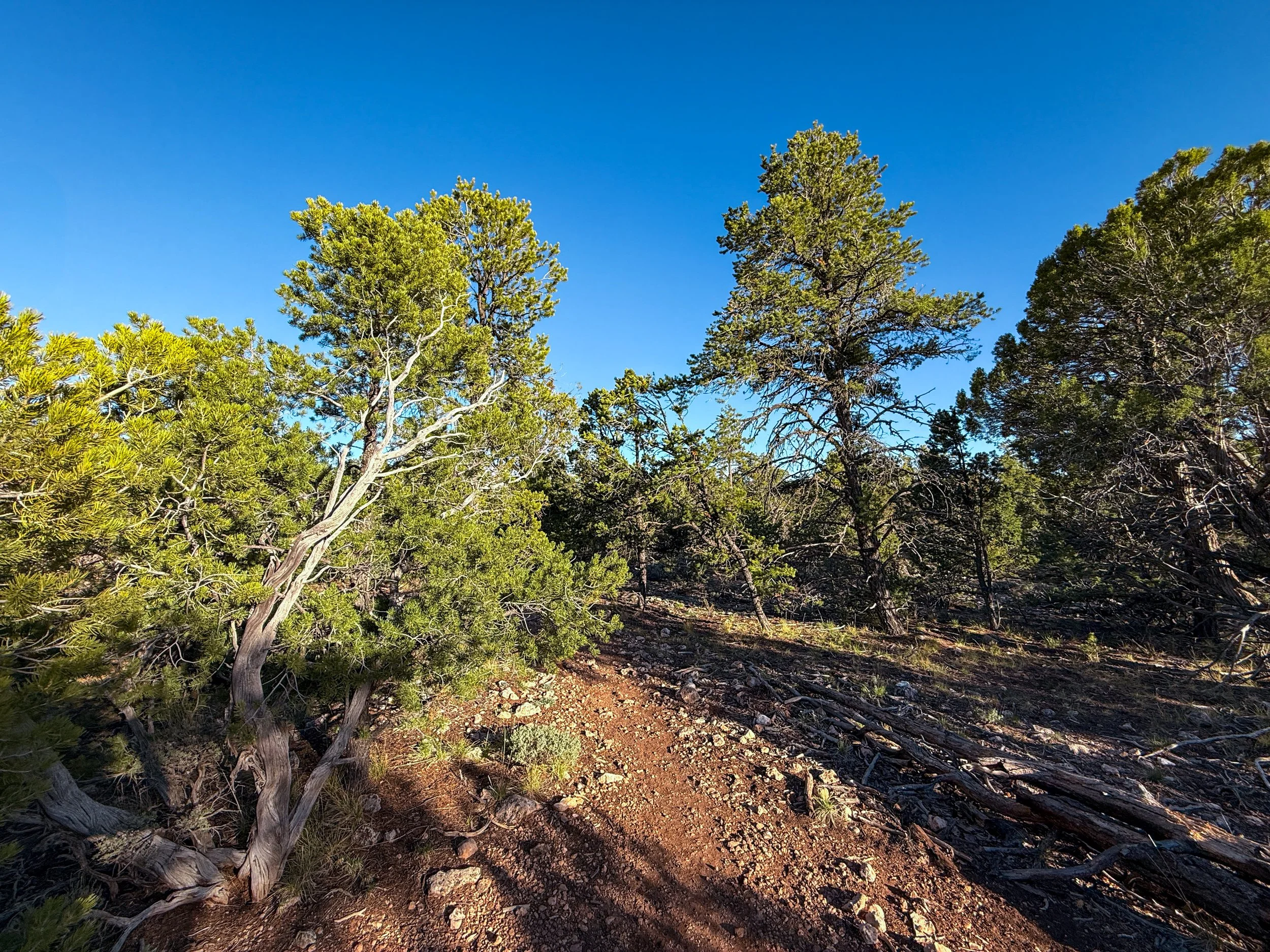 Hiking the Duck on a Rock Trail in Grand Canyon National Park — noahawaii