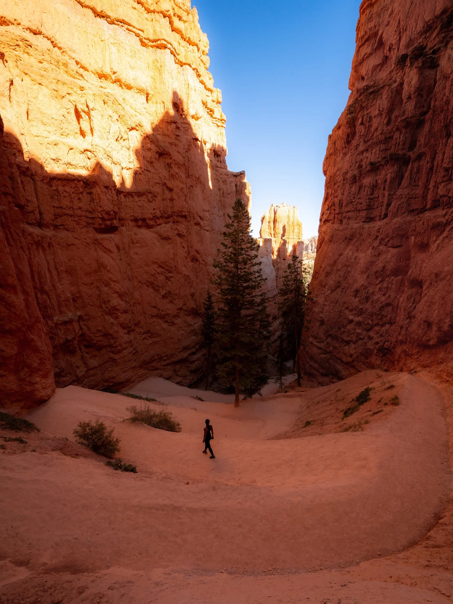 Hiking the Navajo Loop Trail in Bryce Canyon National Park — noahawaii