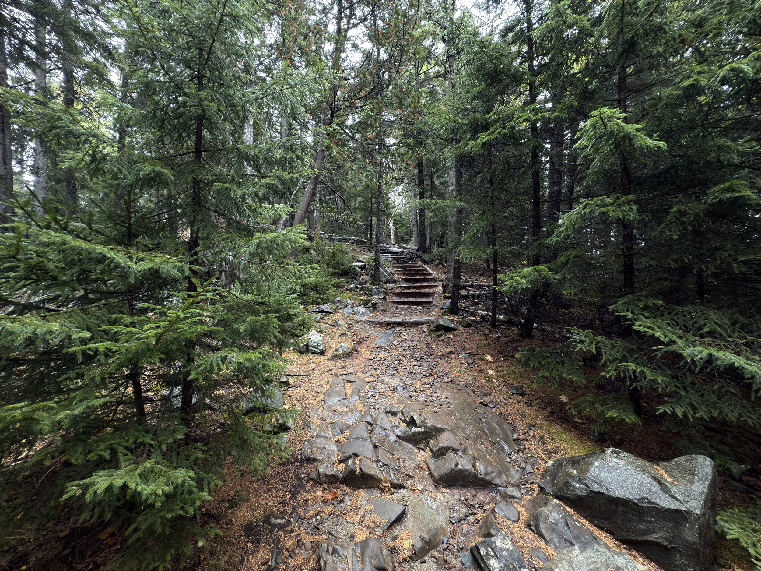 Hiking the Flying Mountain Trail in Acadia National Park — noahawaii