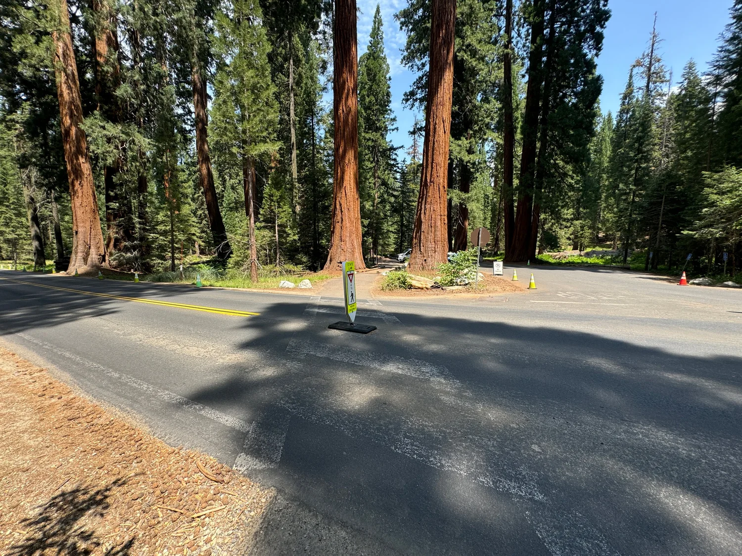 Hiking the Big Trees Trail in Sequoia National Park — noahawaii