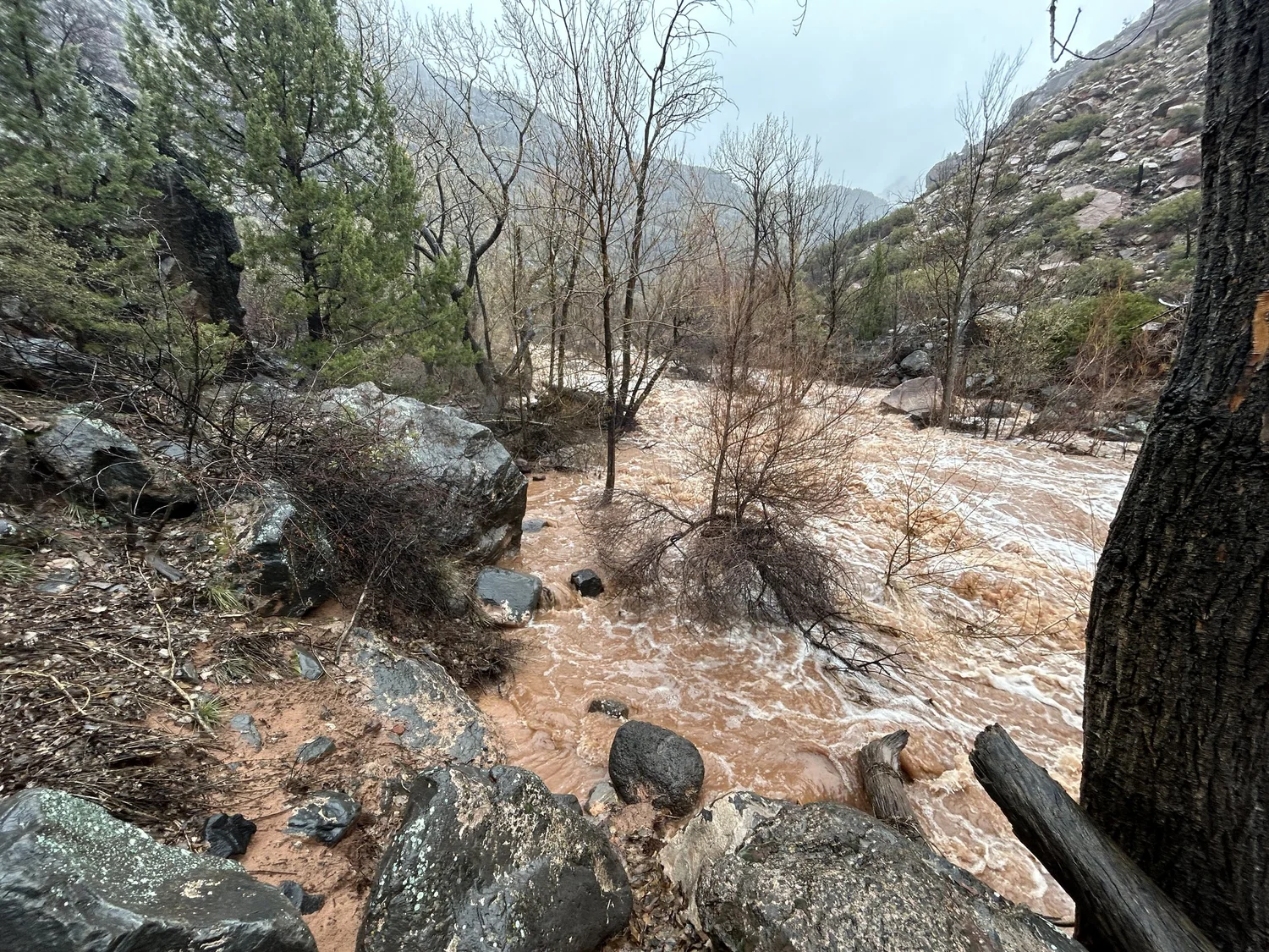 Hiking the Grapevine Trail to Left Fork Falls in Zion National Park ...