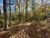 Hiking the Little Moose Pond Loop Trail in Greenville, Maine — noahawaii