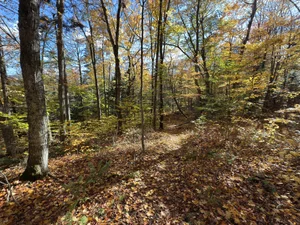 Hiking the Little Moose Pond Loop Trail in Greenville, Maine — noahawaii