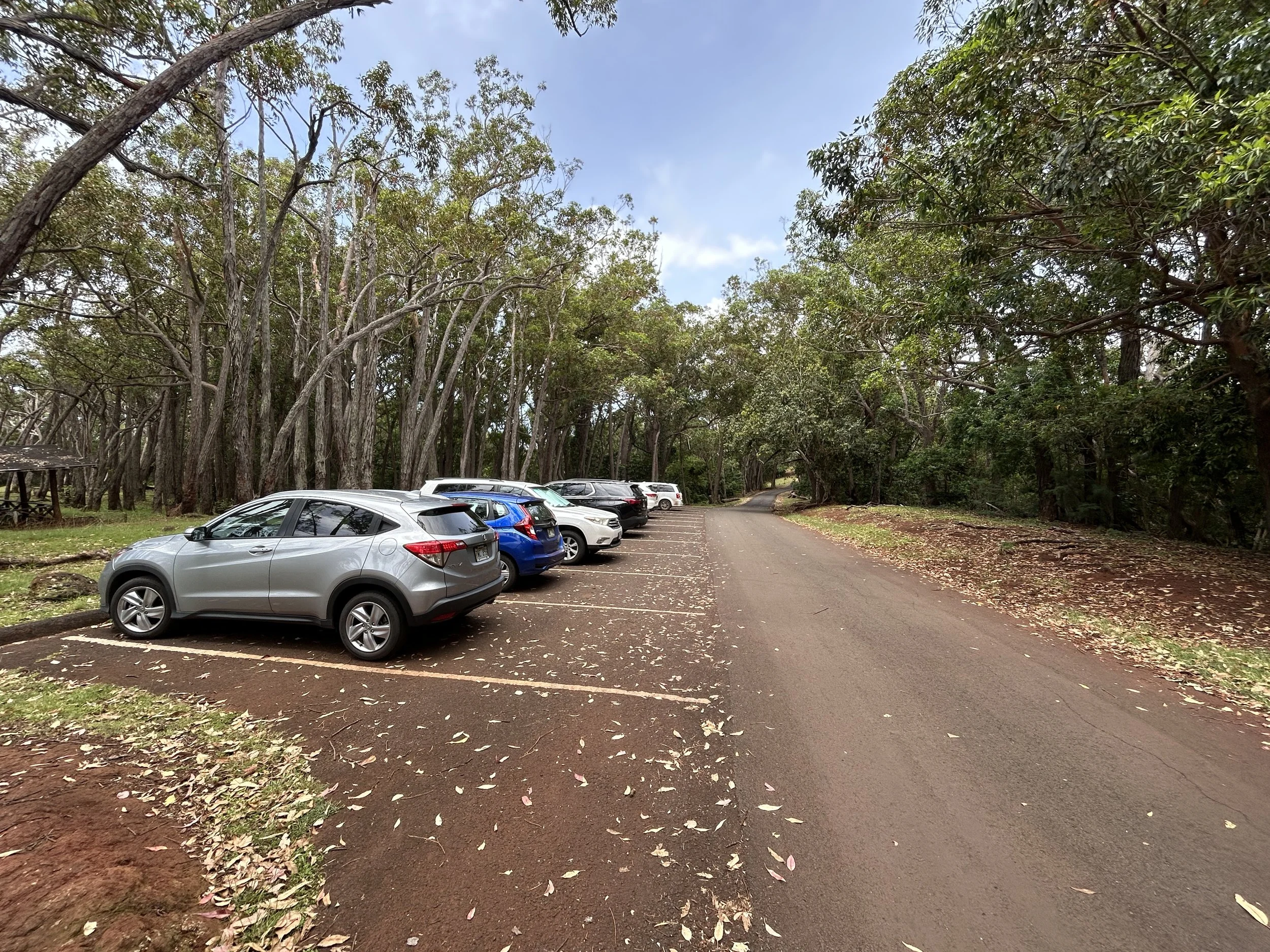 Hiking the ʻAiea Loop Trail on Oʻahu, Hawaiʻi — noahawaii