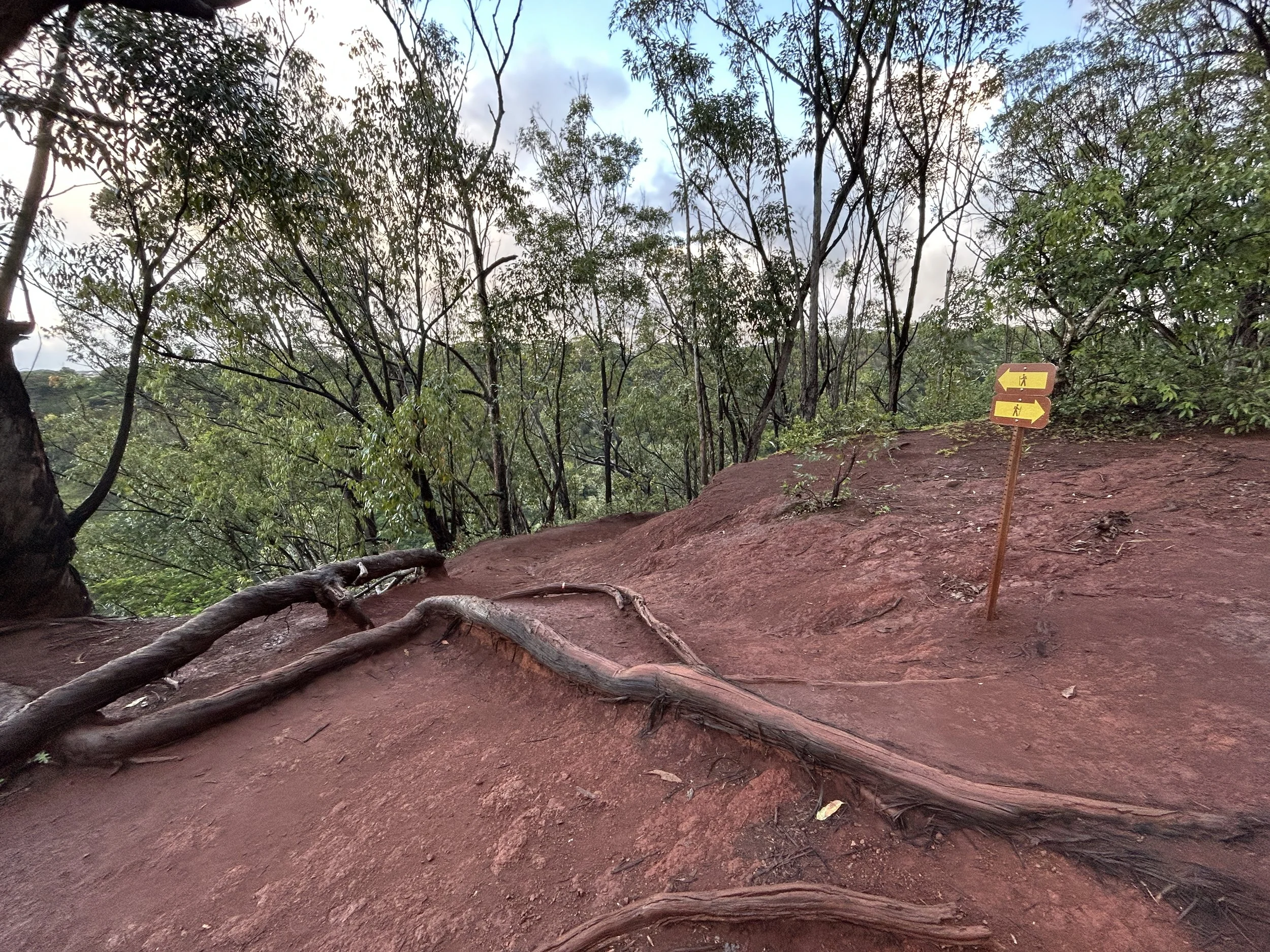 Hiking the Waimano Ridge Trail on Oʻahu — noahawaii