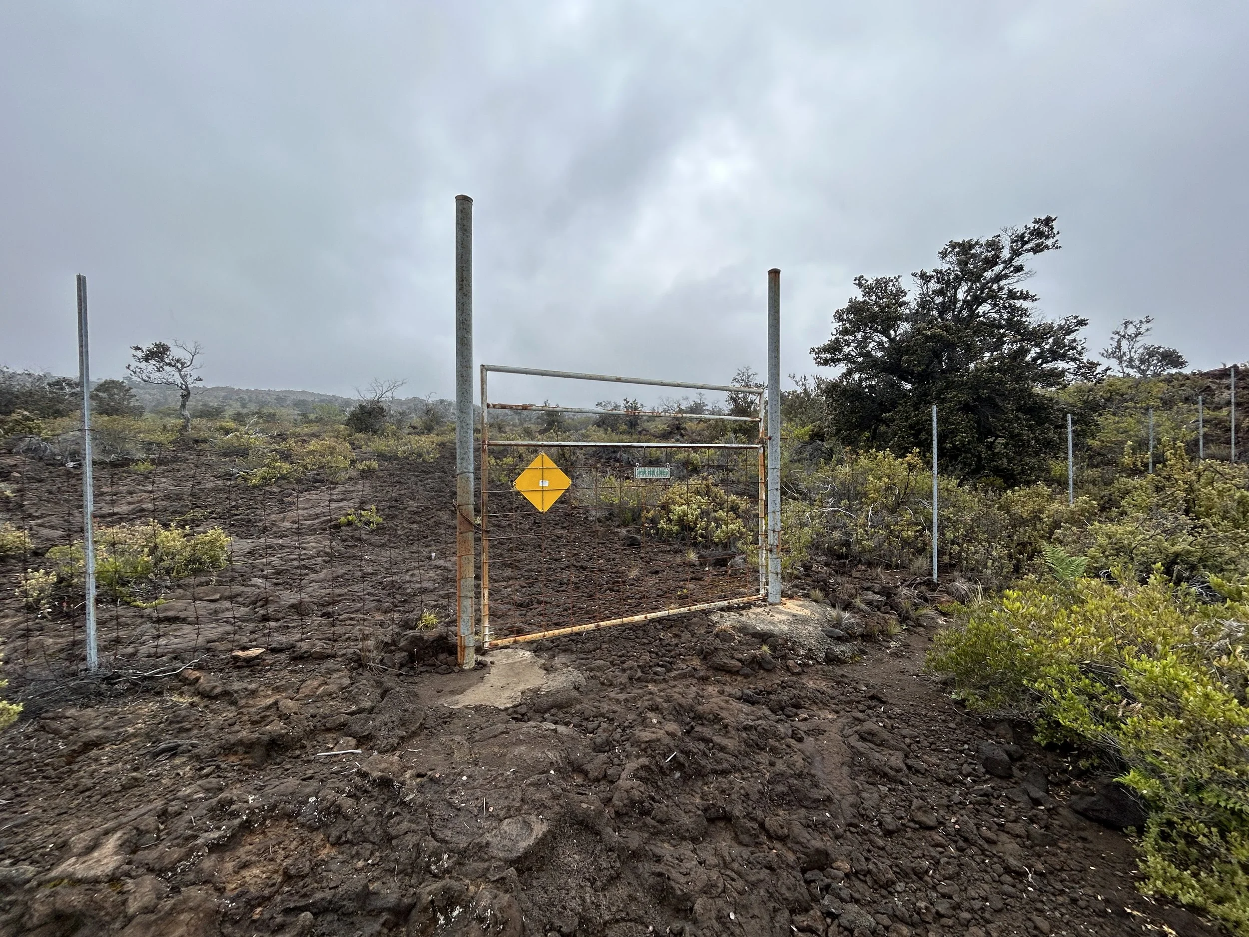 Hiking the Mauna Loa Trail to Red Hill Cabin (Puʻu ʻUlaʻula) in Hawaiʻi ...
