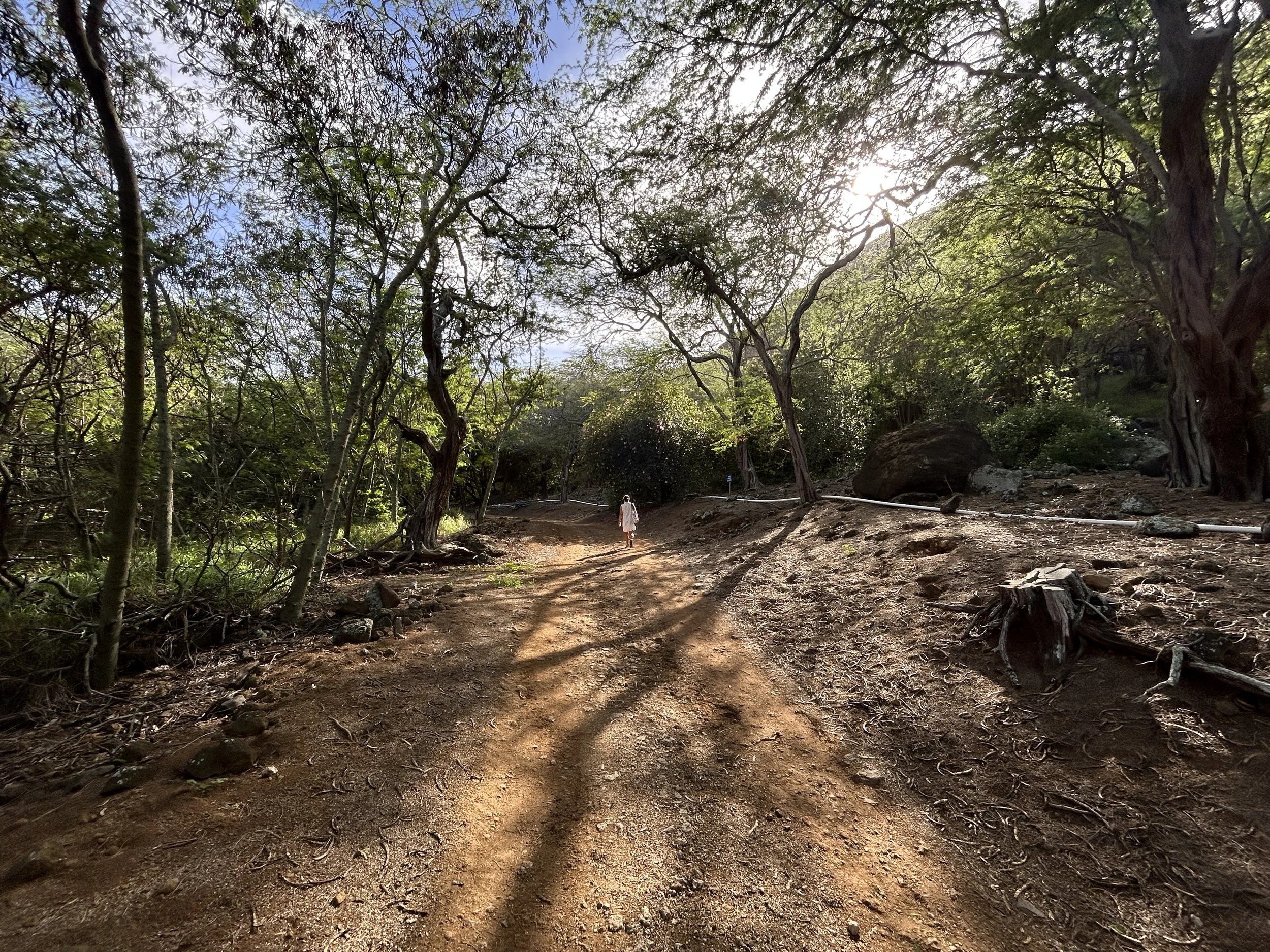 Hiking the Koko Crater Botanical Garden Loop Trail on Oʻahu, Hawaiʻi ...