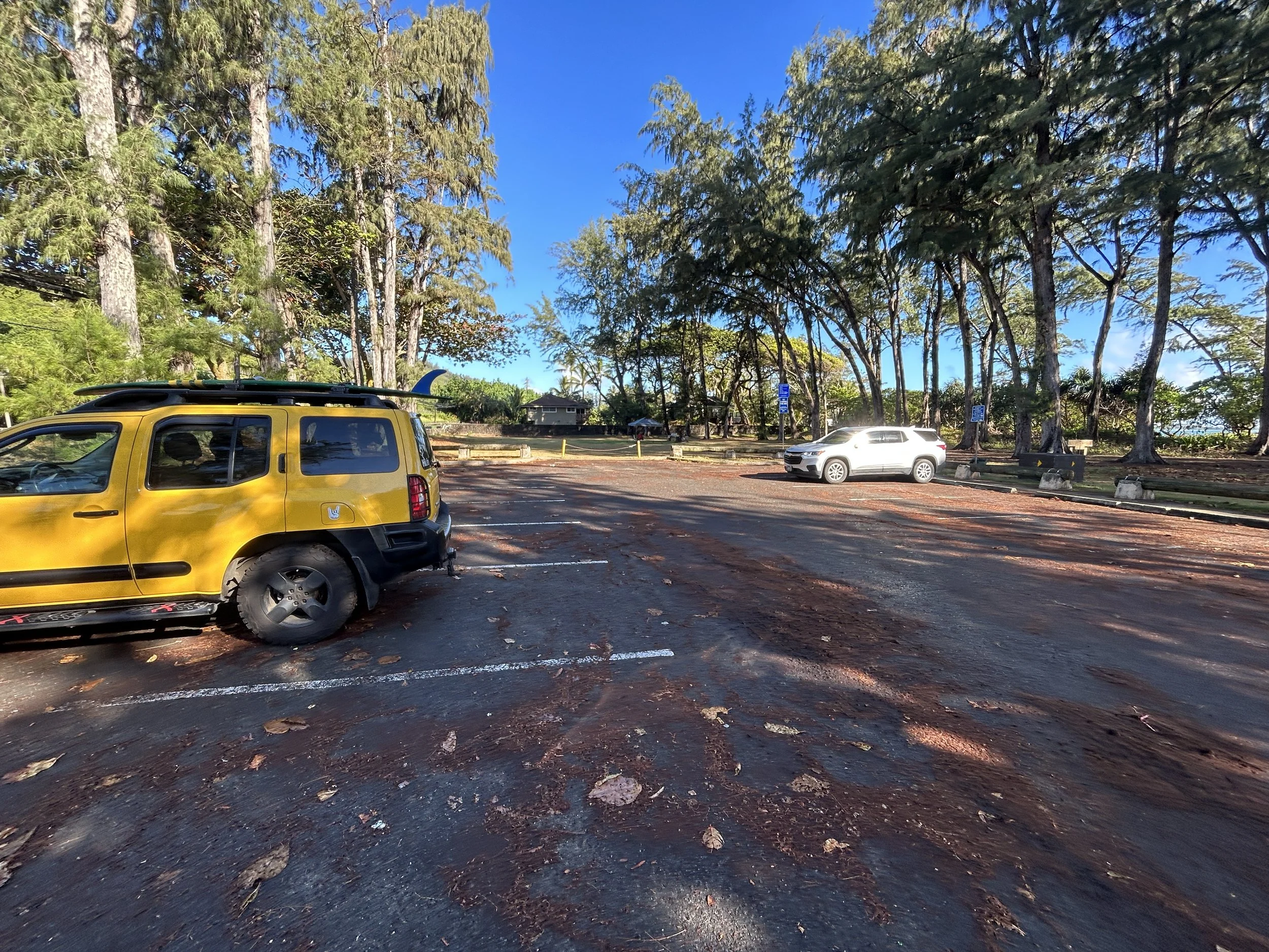 Hiking the Kōloa Gulch Trail on Oʻahu, Hawaiʻi — noahawaii