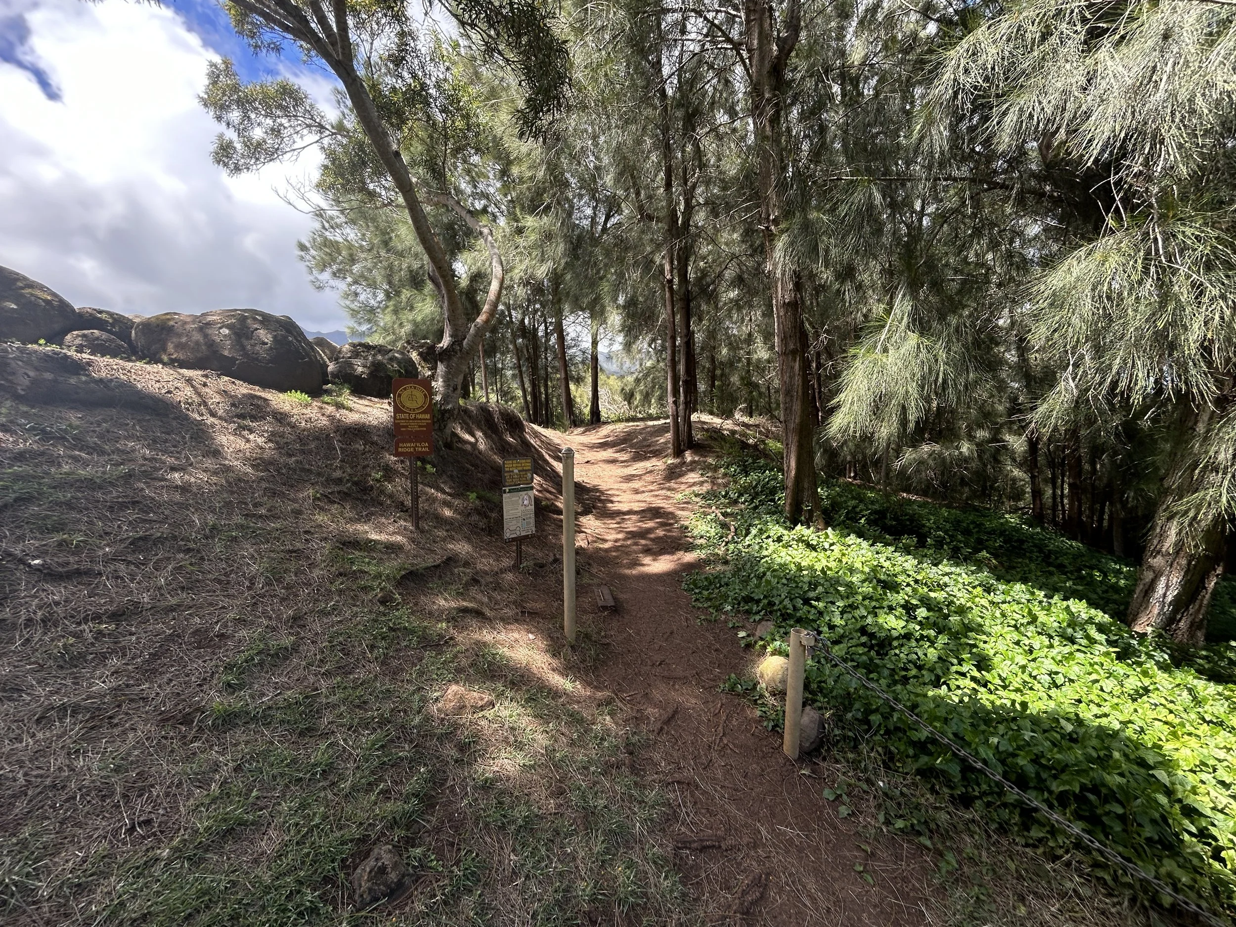 Hiking the Hawaiʻi Loa Ridge Trail on Oʻahu, Hawaiʻi — noahawaii