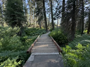 Hiking the Crescent Meadow Loop Trail in Sequoia National Park — noahawaii