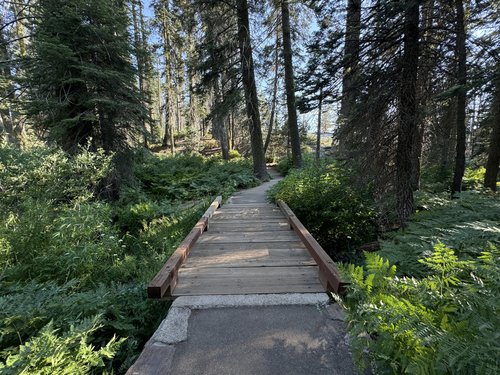 Hiking the Crescent Meadow Loop Trail in Sequoia National Park — noahawaii