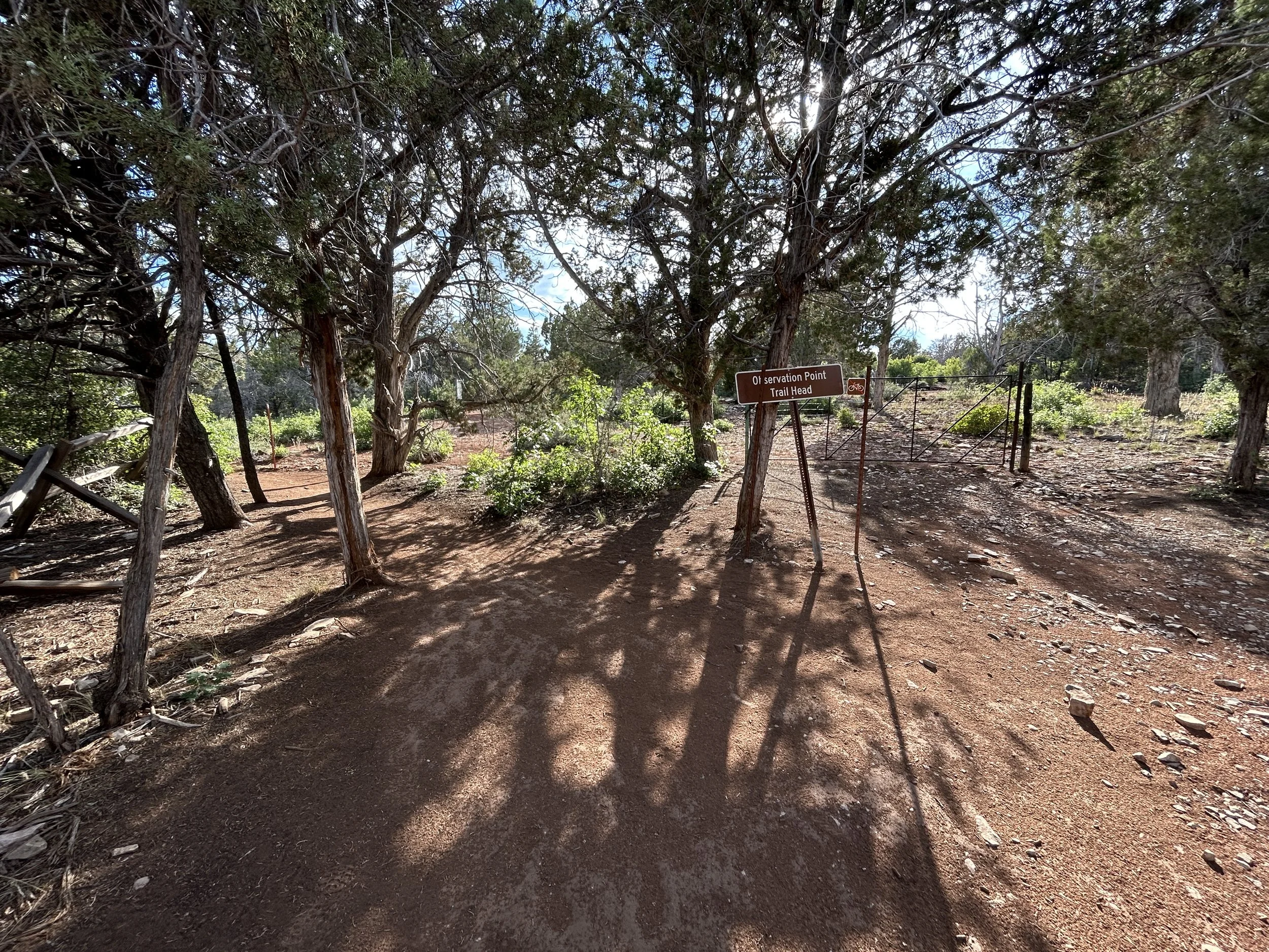 Hiking the East Mesa Trail to Observation Point in Zion National Park ...