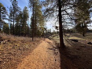 Hiking the Shoshone Point Trail in Grand Canyon National Park — noahawaii