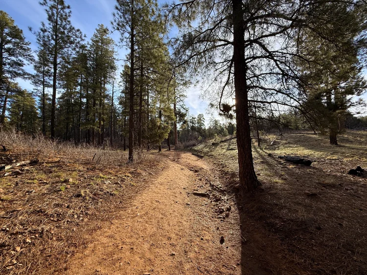 Hiking the Shoshone Point Trail in Grand Canyon National Park — noahawaii