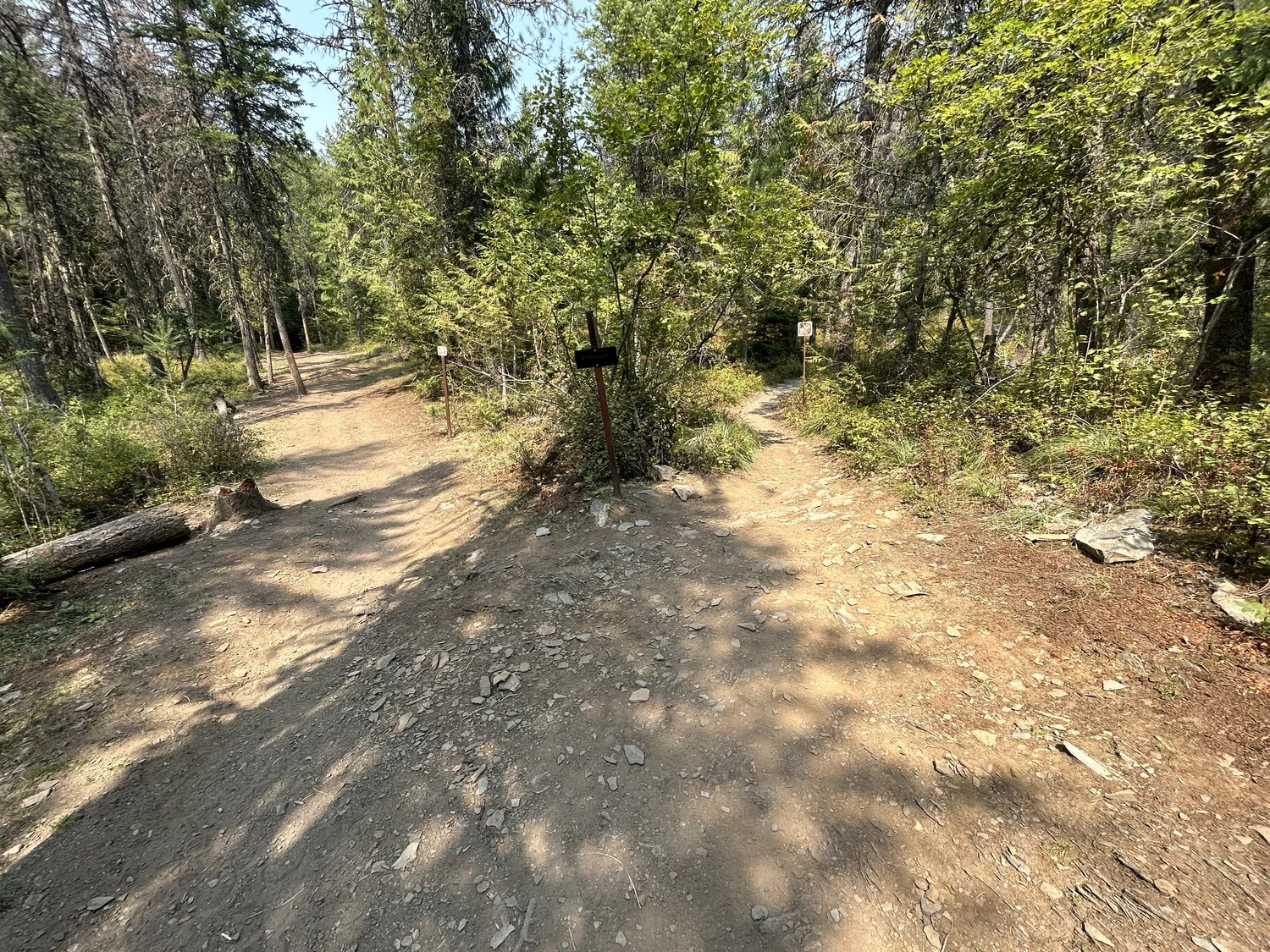 Hiking the Johns Lake Loop Trail in Glacier National Park — noahawaii