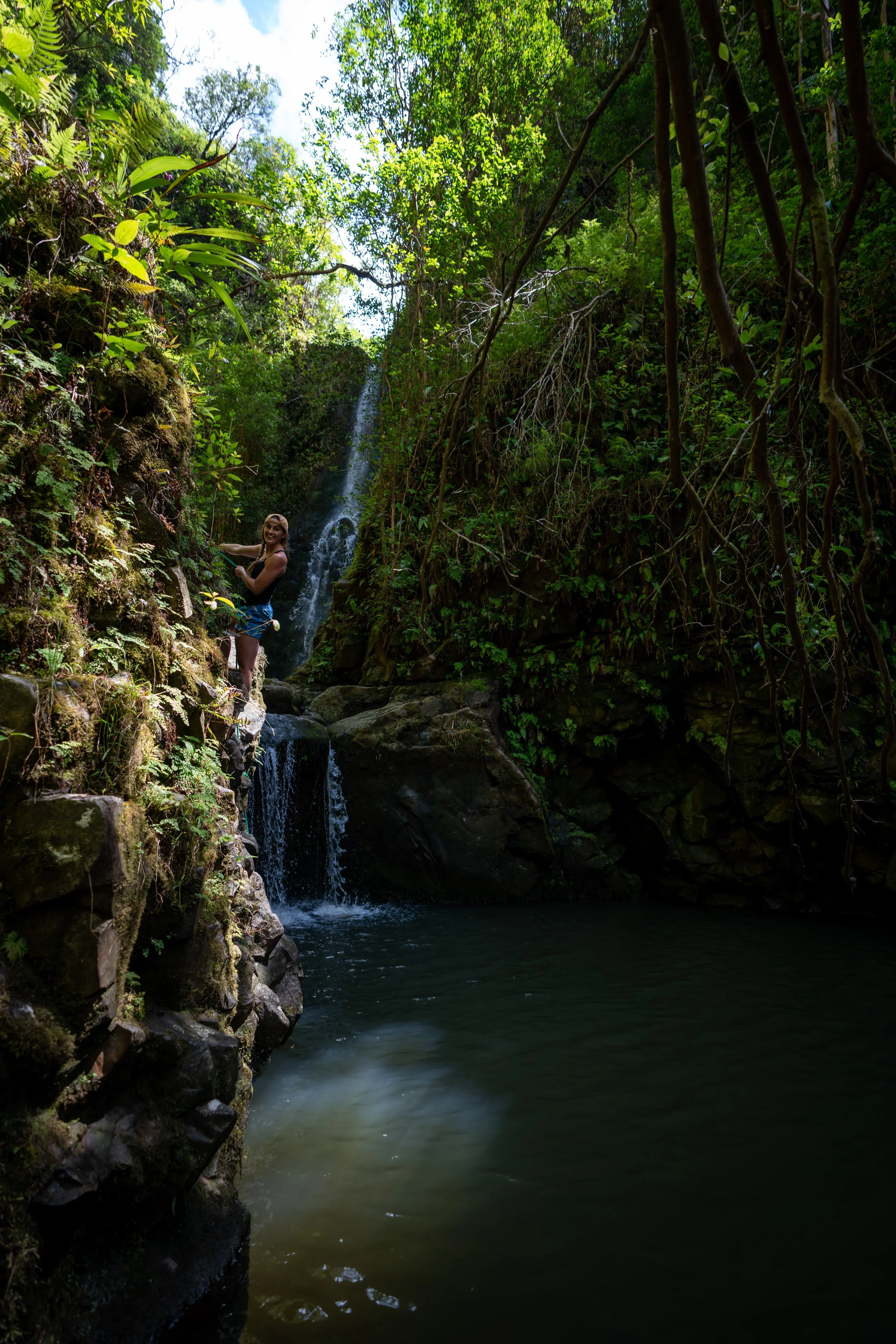 Hiking the Kōloa Gulch Trail on Oʻahu — noahawaii