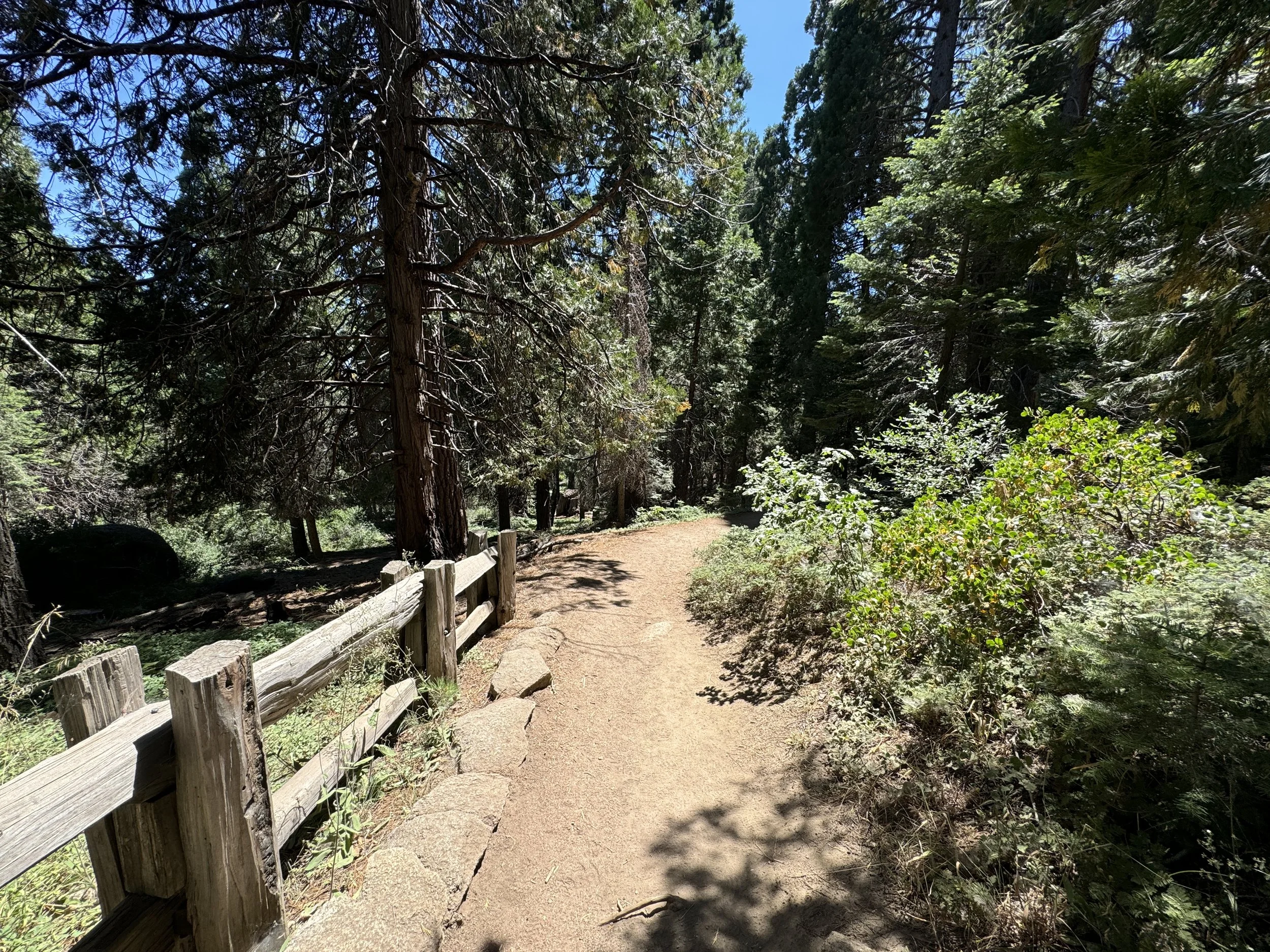 Hiking the Big Stump Loop Trail in Kings Canyon National Park — noahawaii