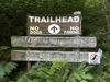 Hiking the Lower Cascade Head Trail on the Oregon Coast — noahawaii