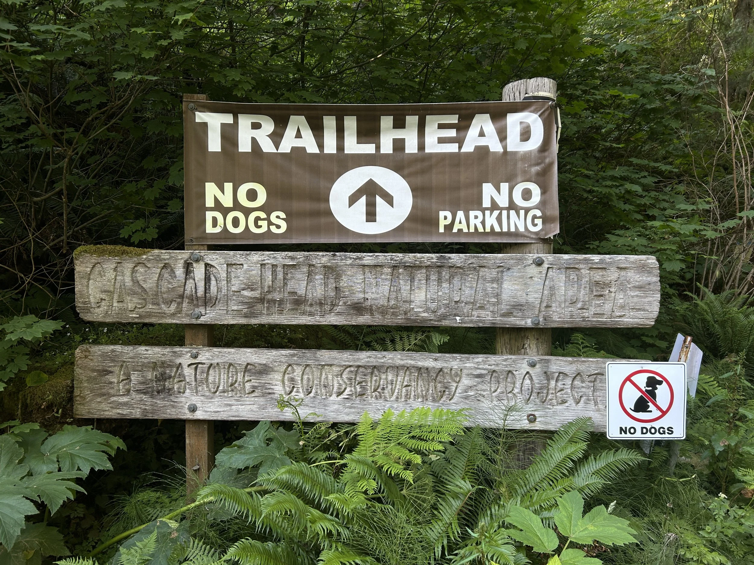 Hiking the Lower Cascade Head Trail on the Oregon Coast — noahawaii