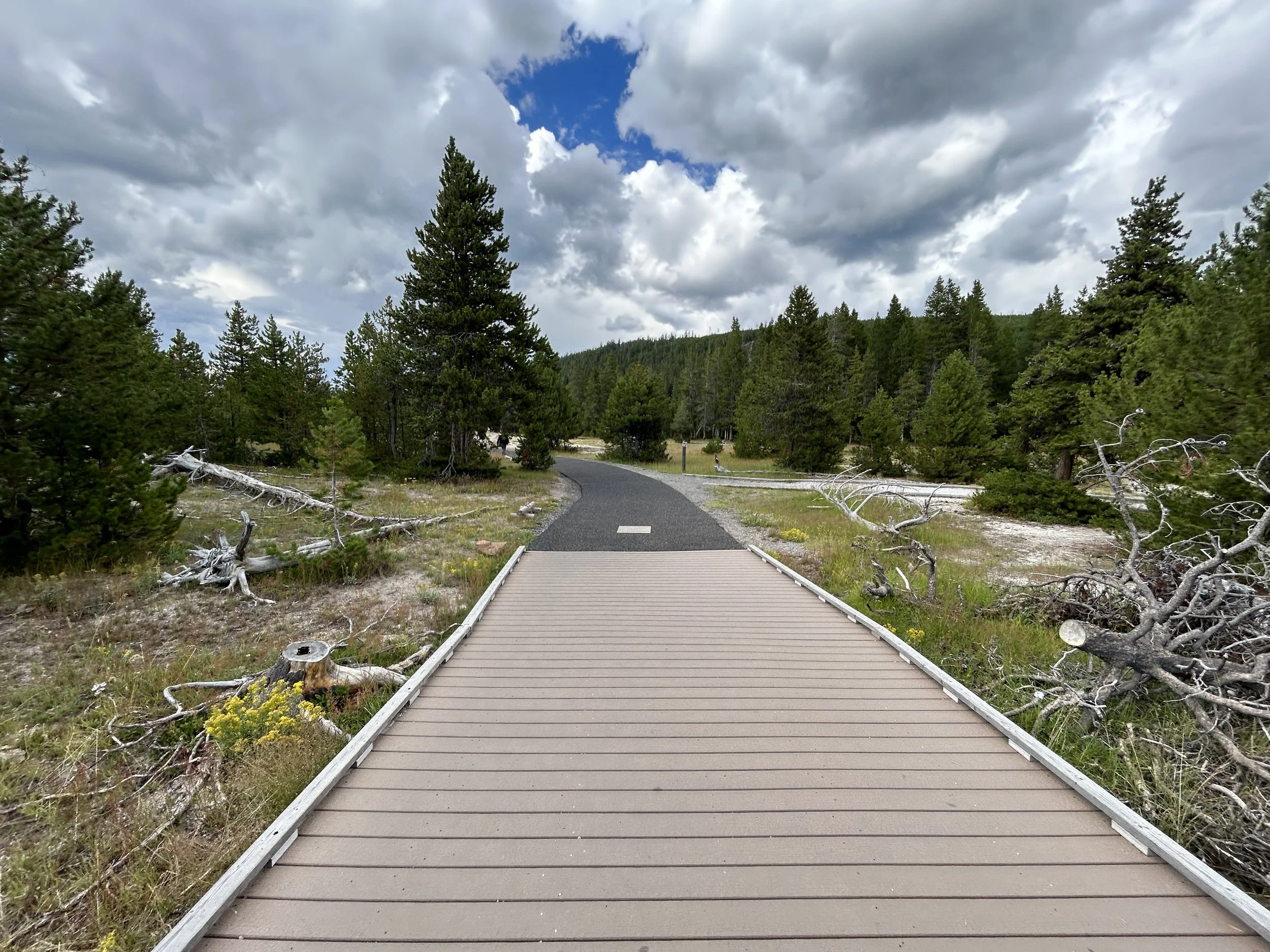 Hiking the Observation Point Trail in Yellowstone National Park — noahawaii