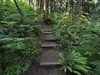 Hiking the Lower Cascade Head Trail on the Oregon Coast — noahawaii