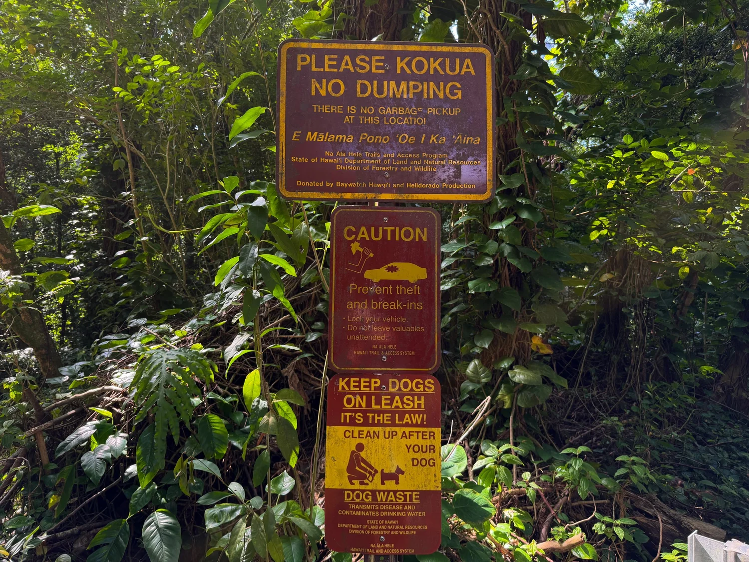 Hiking the Judd Trail & Jackass Ginger Pool on Oʻahu, Hawaiʻi — noahawaii