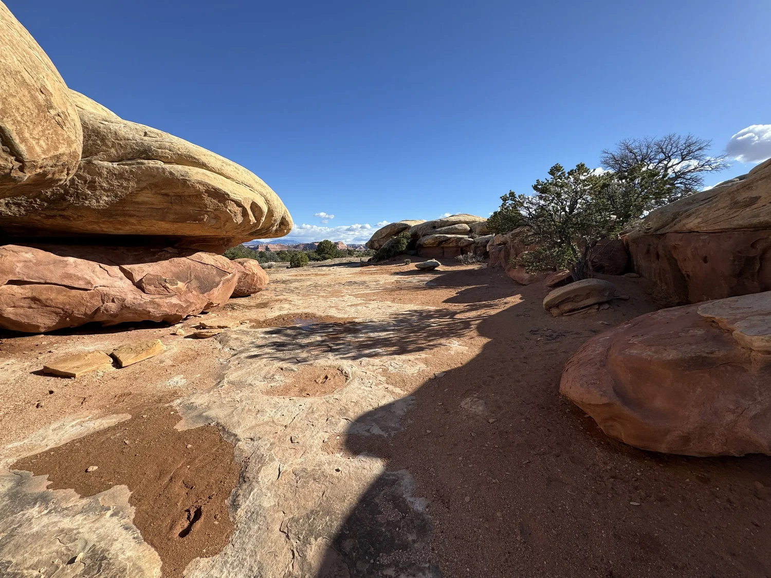 Hiking the Pothole Point Trail in Canyonlands National Park — noahawaii