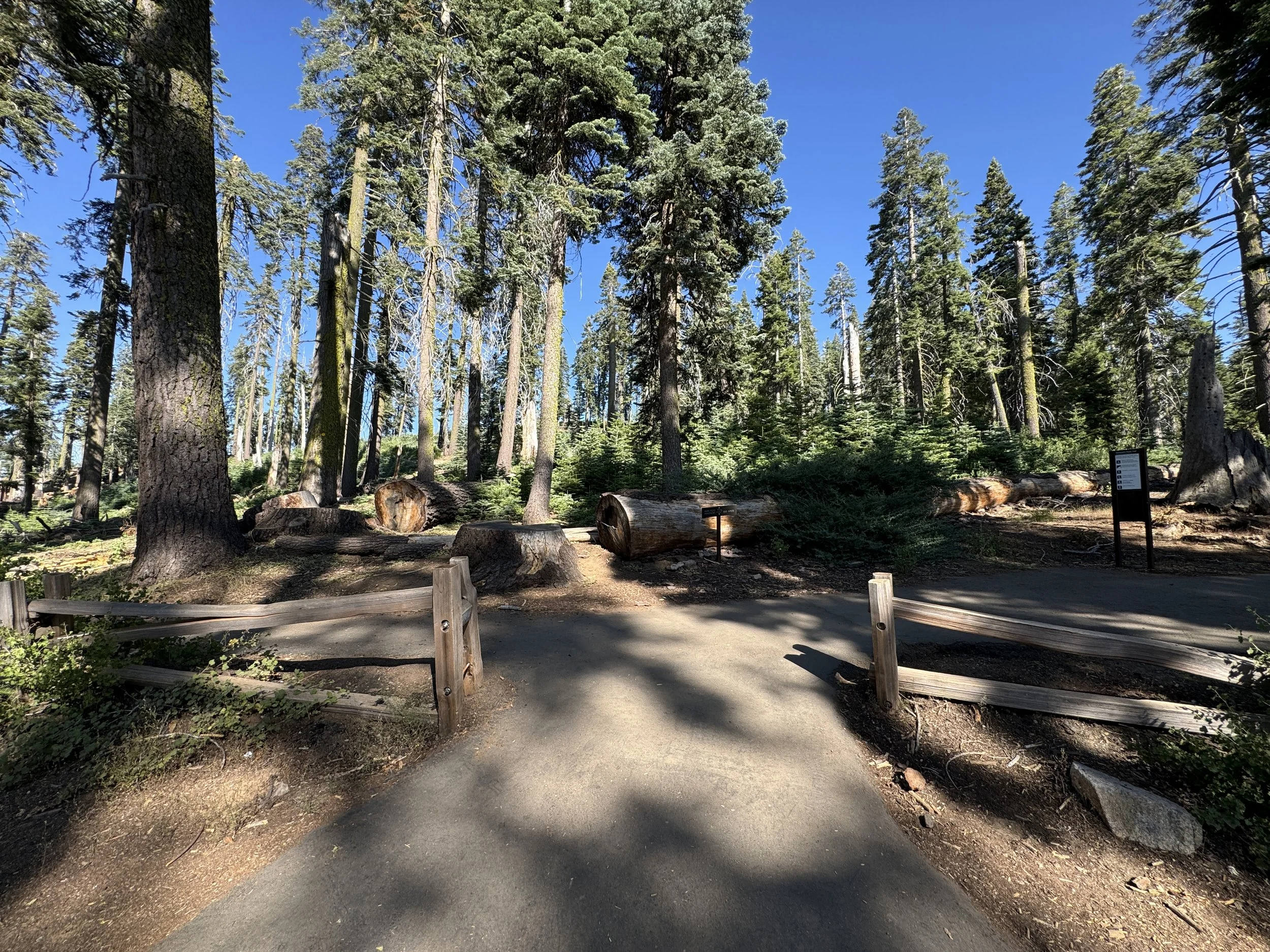 Hiking the Panoramic Point Trail in Kings Canyon National Park — noahawaii
