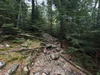 Hiking the Flying Mountain Trail in Acadia National Park — noahawaii