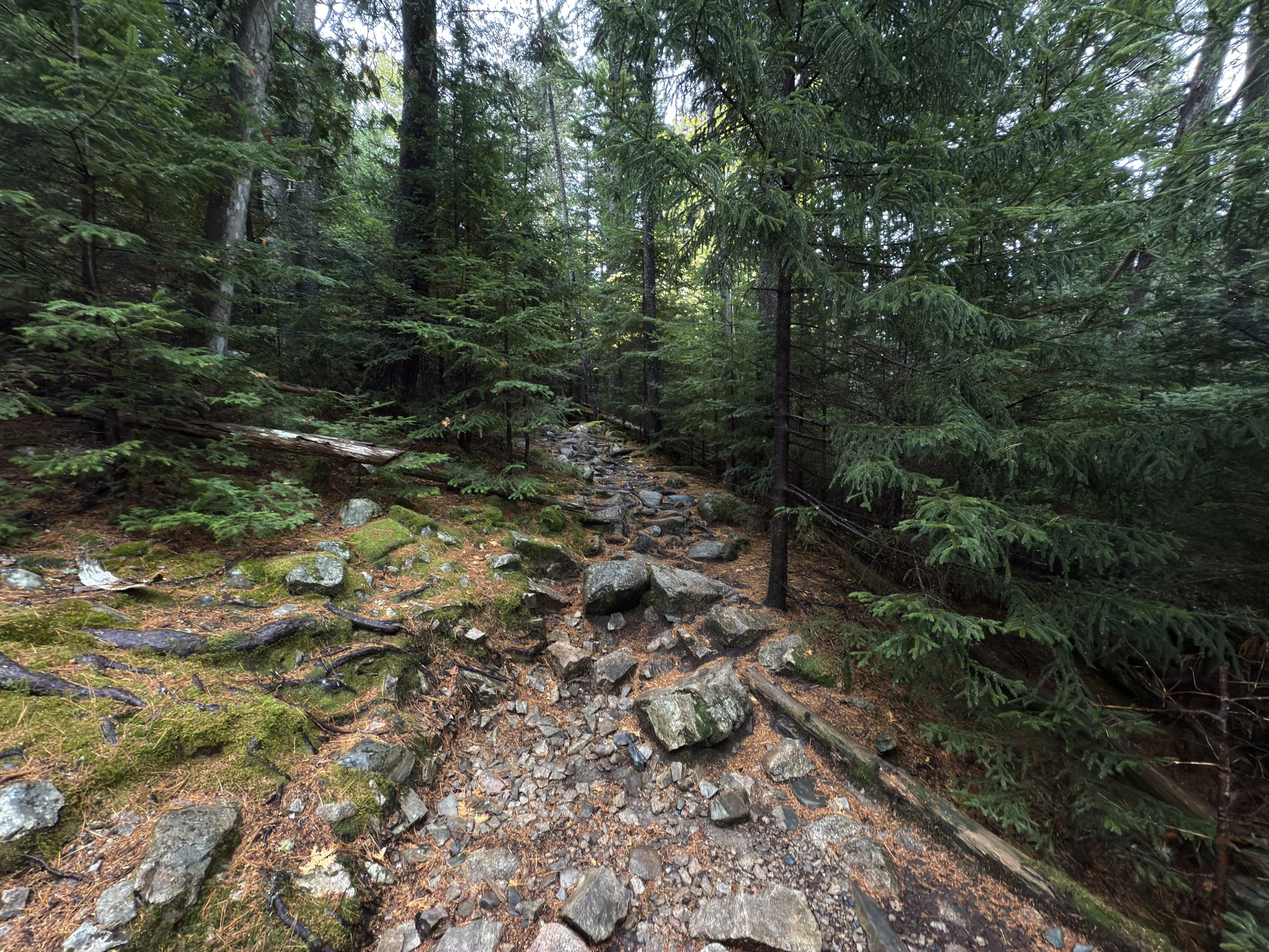 Hiking the Flying Mountain Trail in Acadia National Park — noahawaii