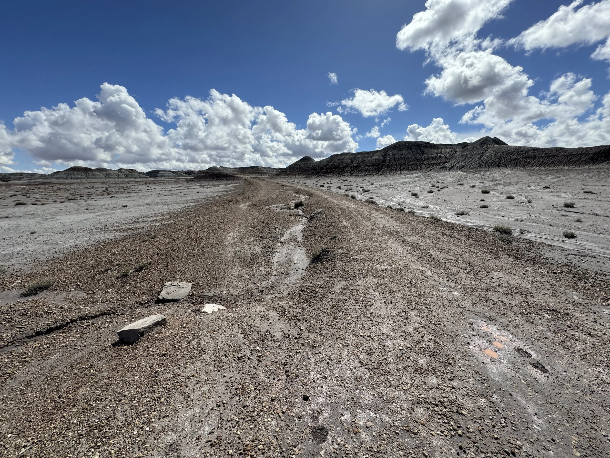 Hiking the Historic Blue Forest Trail in Petrified Forest National Park ...