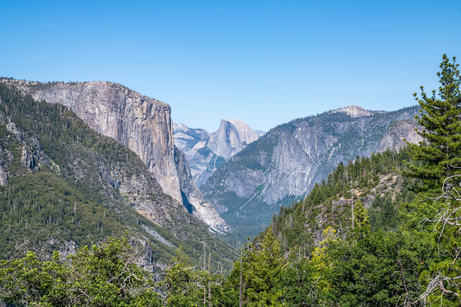 Hiking the Turtleback Dome Trail in Yosemite National Park — noahawaii