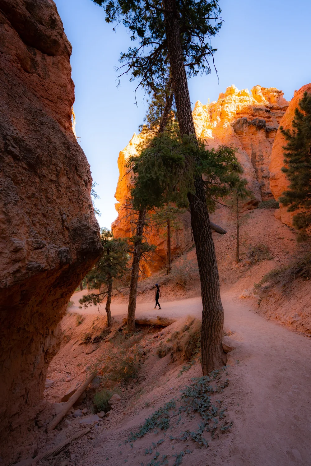 Hiking the Navajo Loop Trail in Bryce Canyon National Park — noahawaii