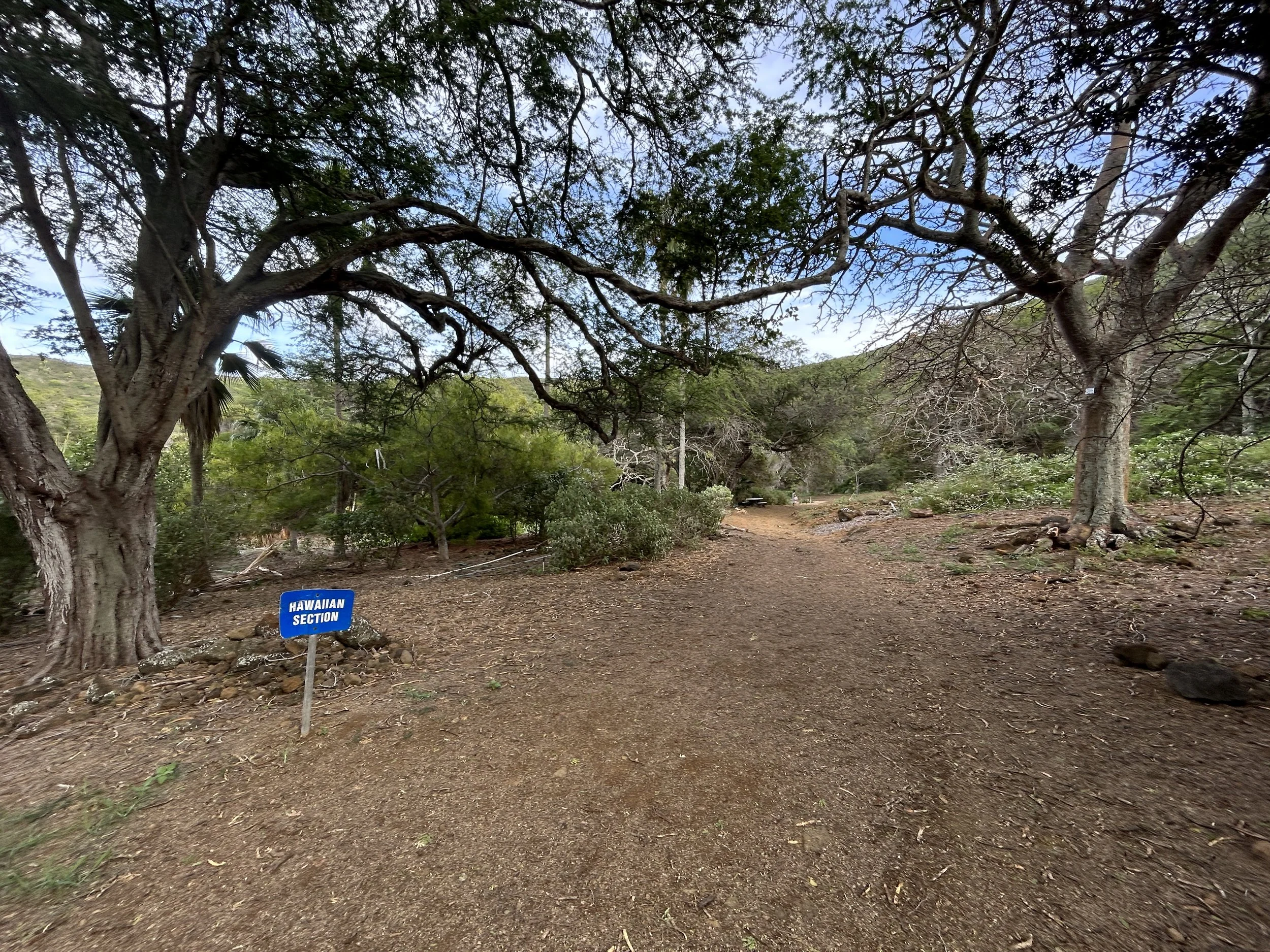 Hiking the Koko Crater Botanical Garden Loop Trail on Oʻahu — noahawaii