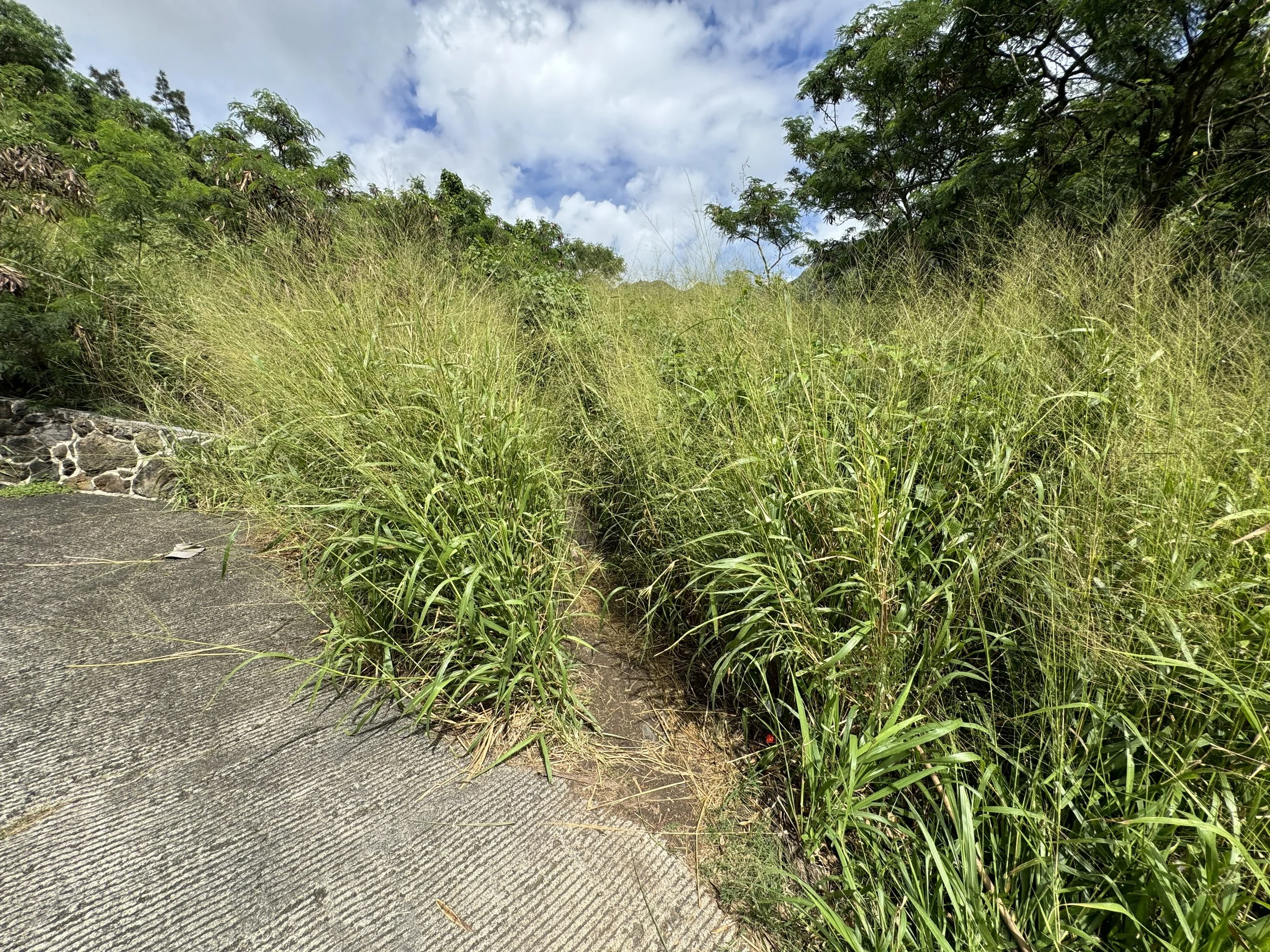 Hiking the Wailupe Loop Trail on Oʻahu, Hawaiʻi — noahawaii