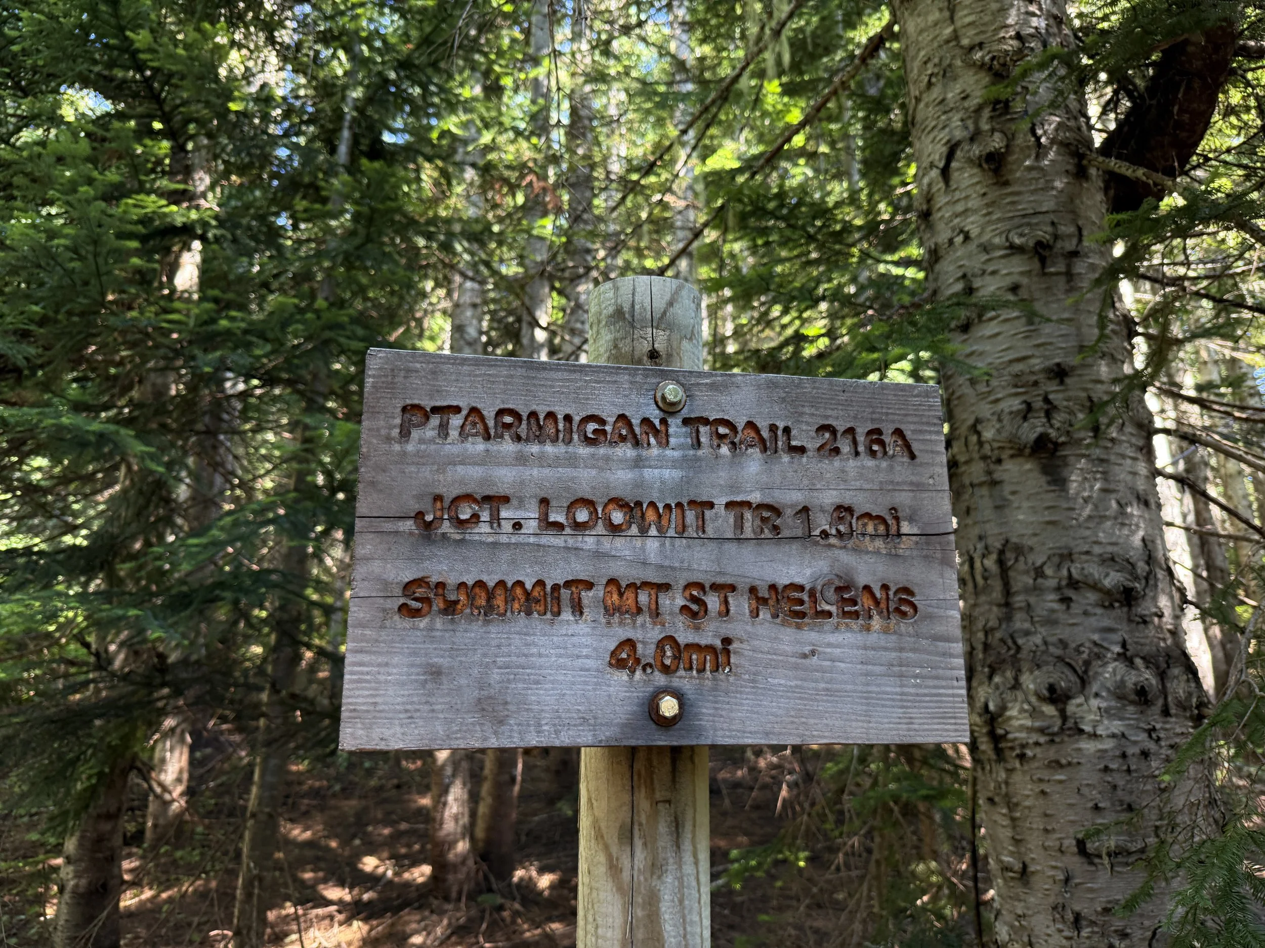 Climbing Mount Saint Helens via the Ptarmigan Trail & Monitor Ridge in ...