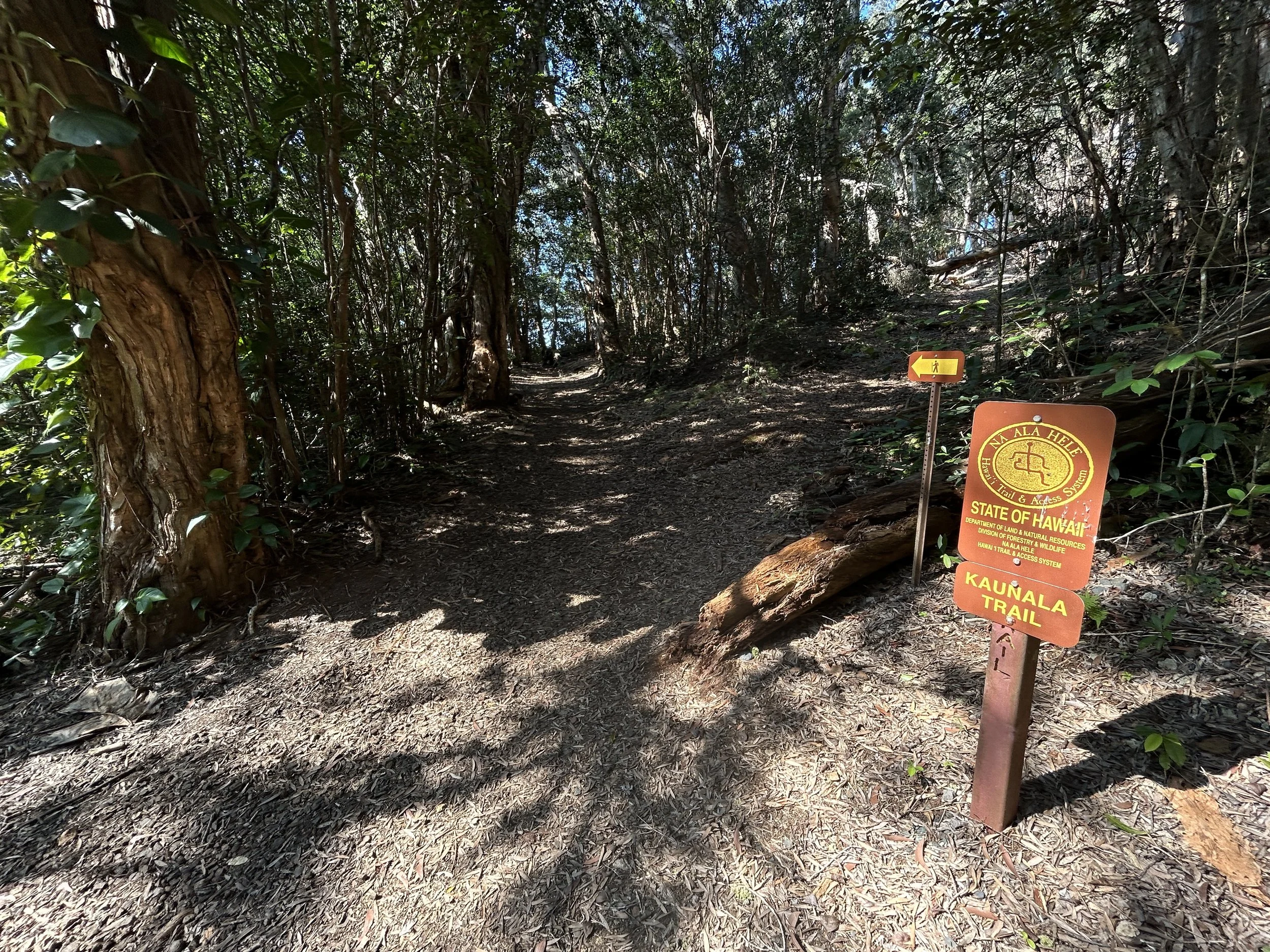 Hiking the Kaunala Loop Trail on the North Shore of Oʻahu, Hawaiʻi ...
