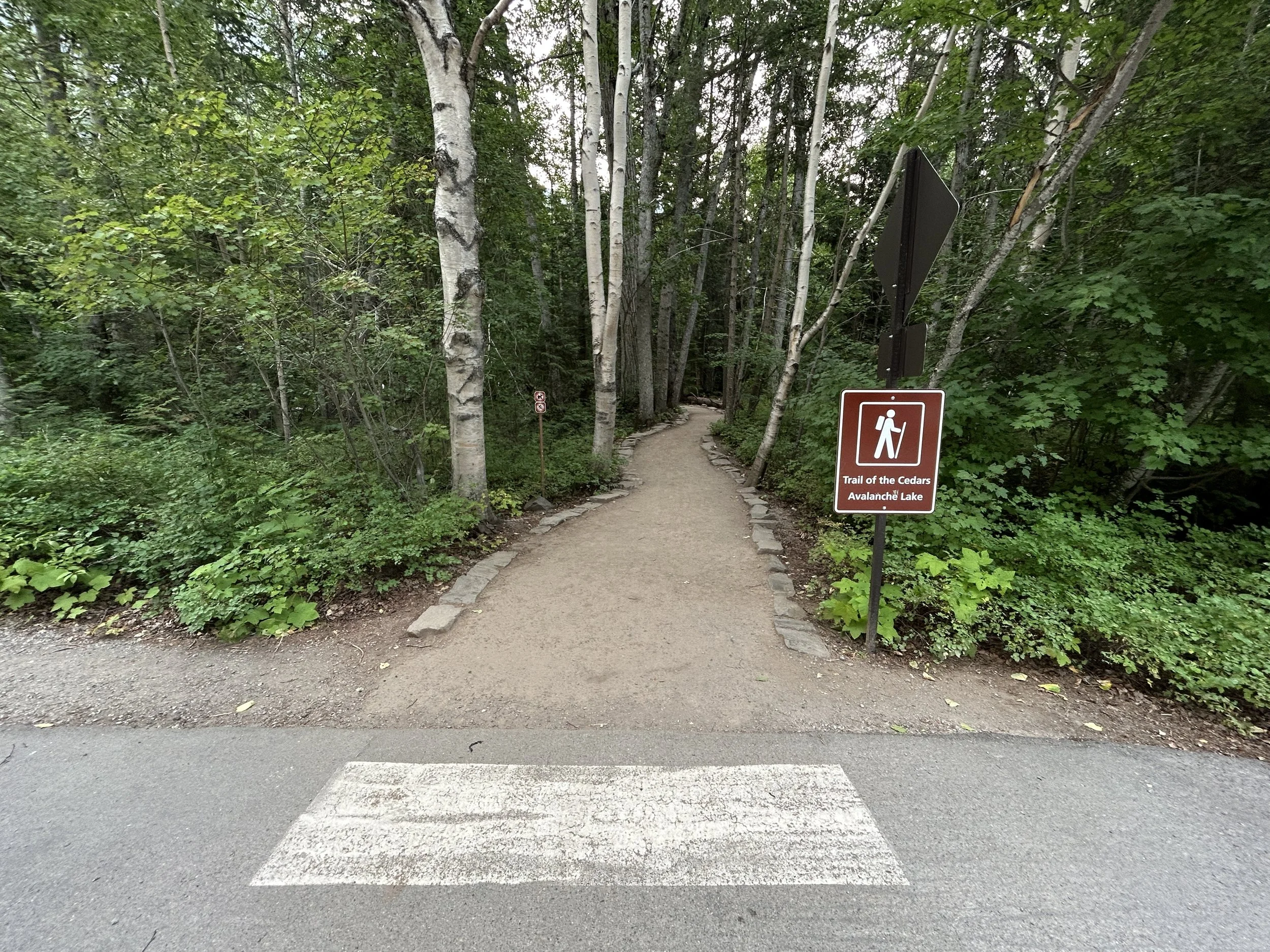 Hiking the Avalanche Lake Trail in Glacier National Park — noahawaii