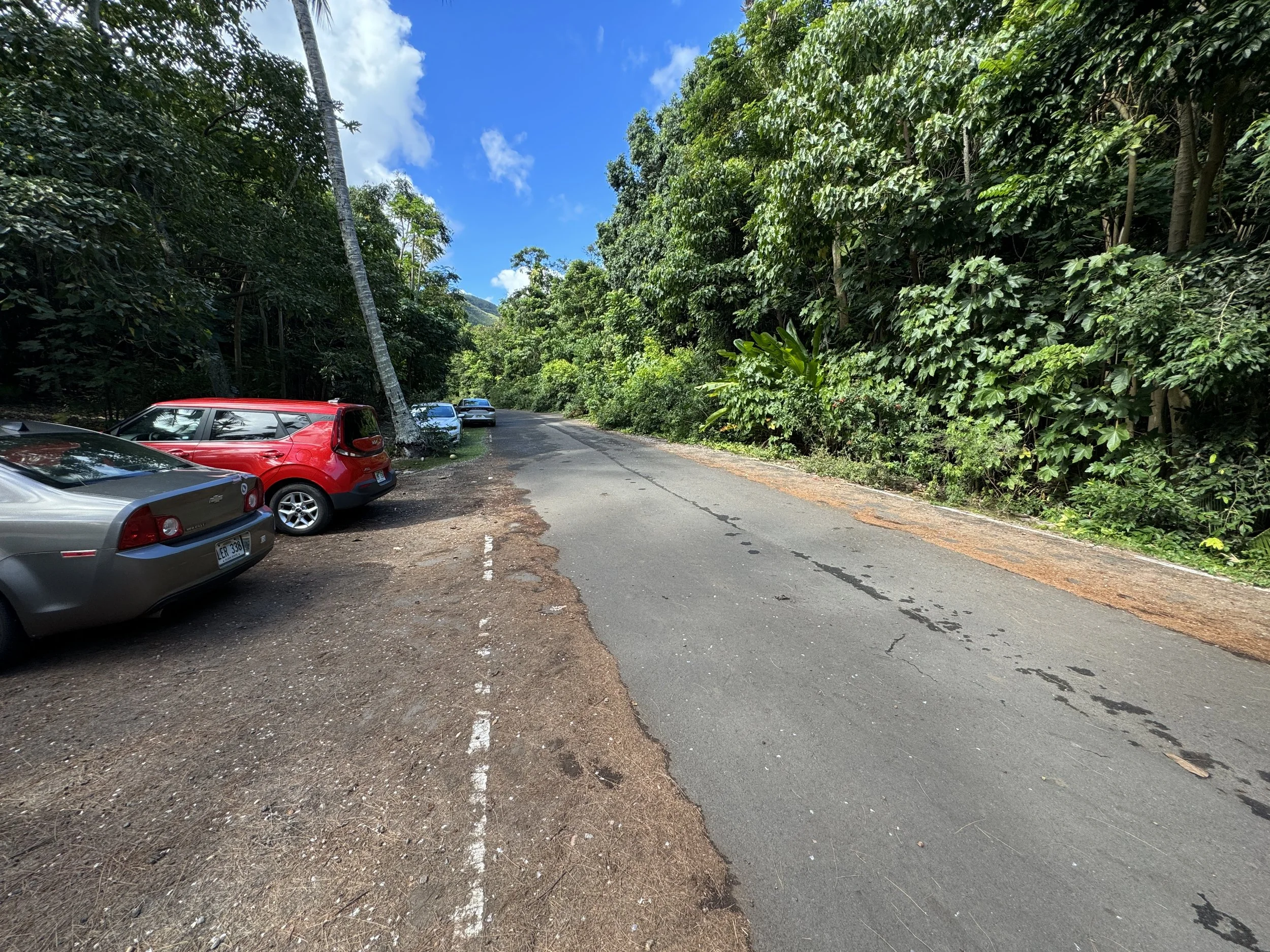 Hiking the Hālawa Valley Trail to Moaʻula & Hīpuapua Falls on Molokai ...