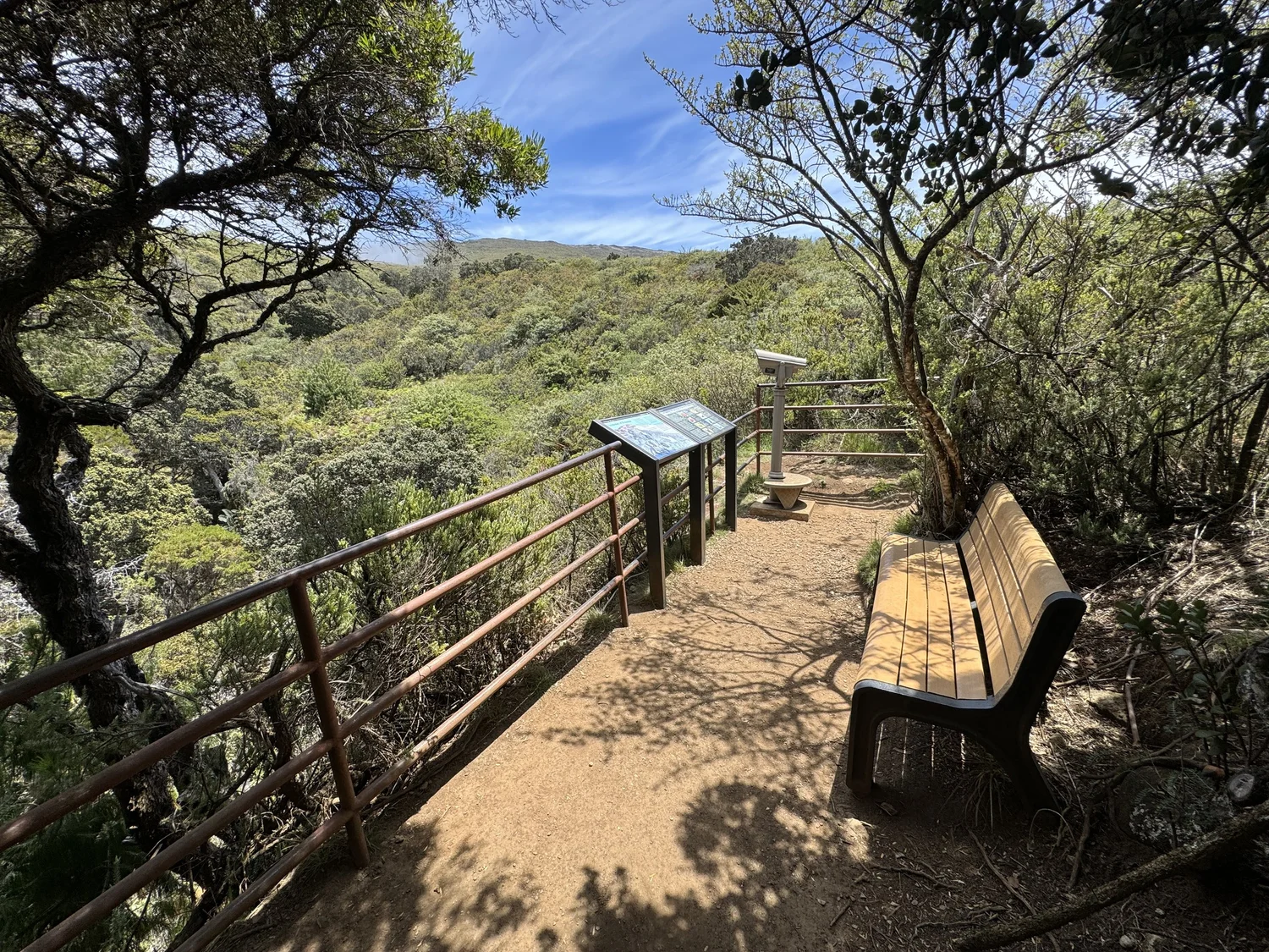 Hiking the Hosmer Grove Trail in Haleakalā National Park on Maui ...