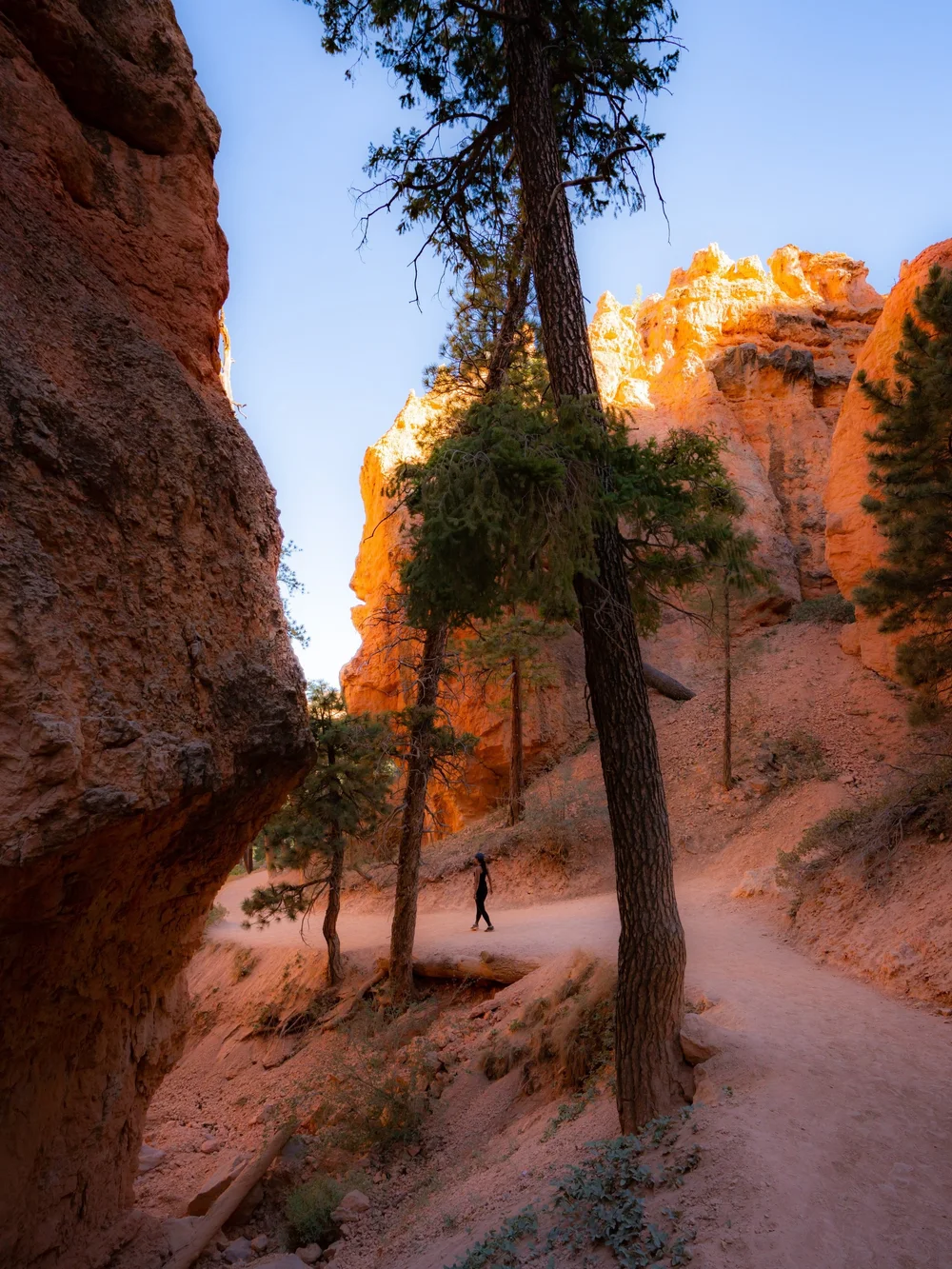 Hiking the Navajo Loop Trail in Bryce Canyon National Park — noahawaii