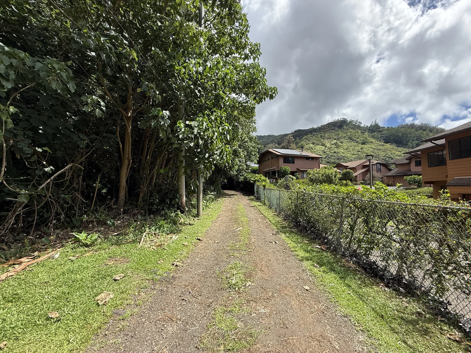 Hiking the Mānoa Middle Ridge Trail on Oʻahu, Hawaiʻi — noahawaii