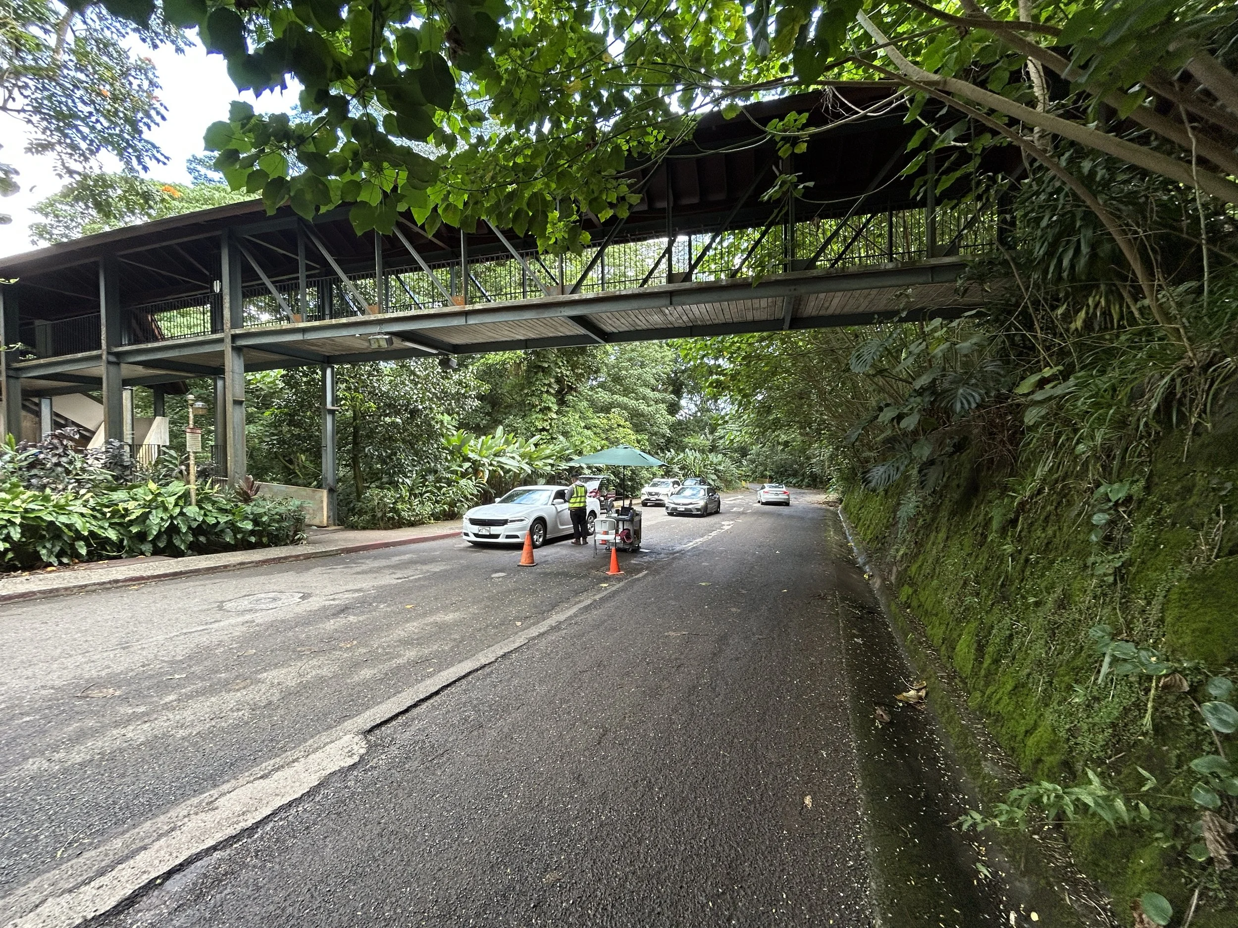 Hiking the Luaʻalaea Falls Trail on Oʻahu — noahawaii